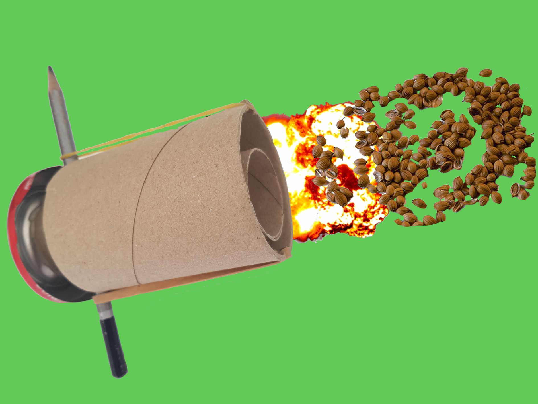 Seed Launcher : 9 Steps - Instructables