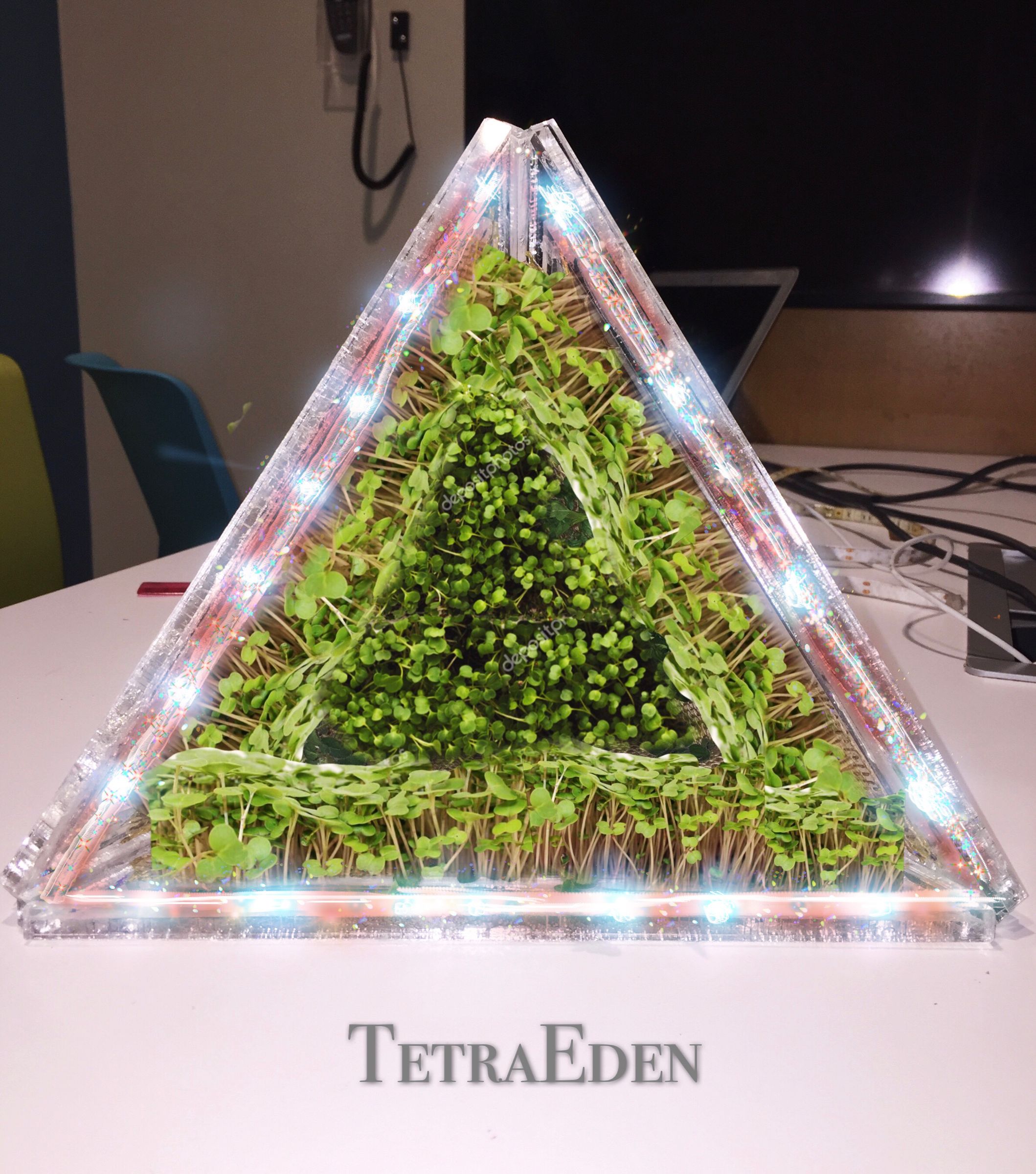 TetraEden : 9 Steps (with Pictures) - Instructables
