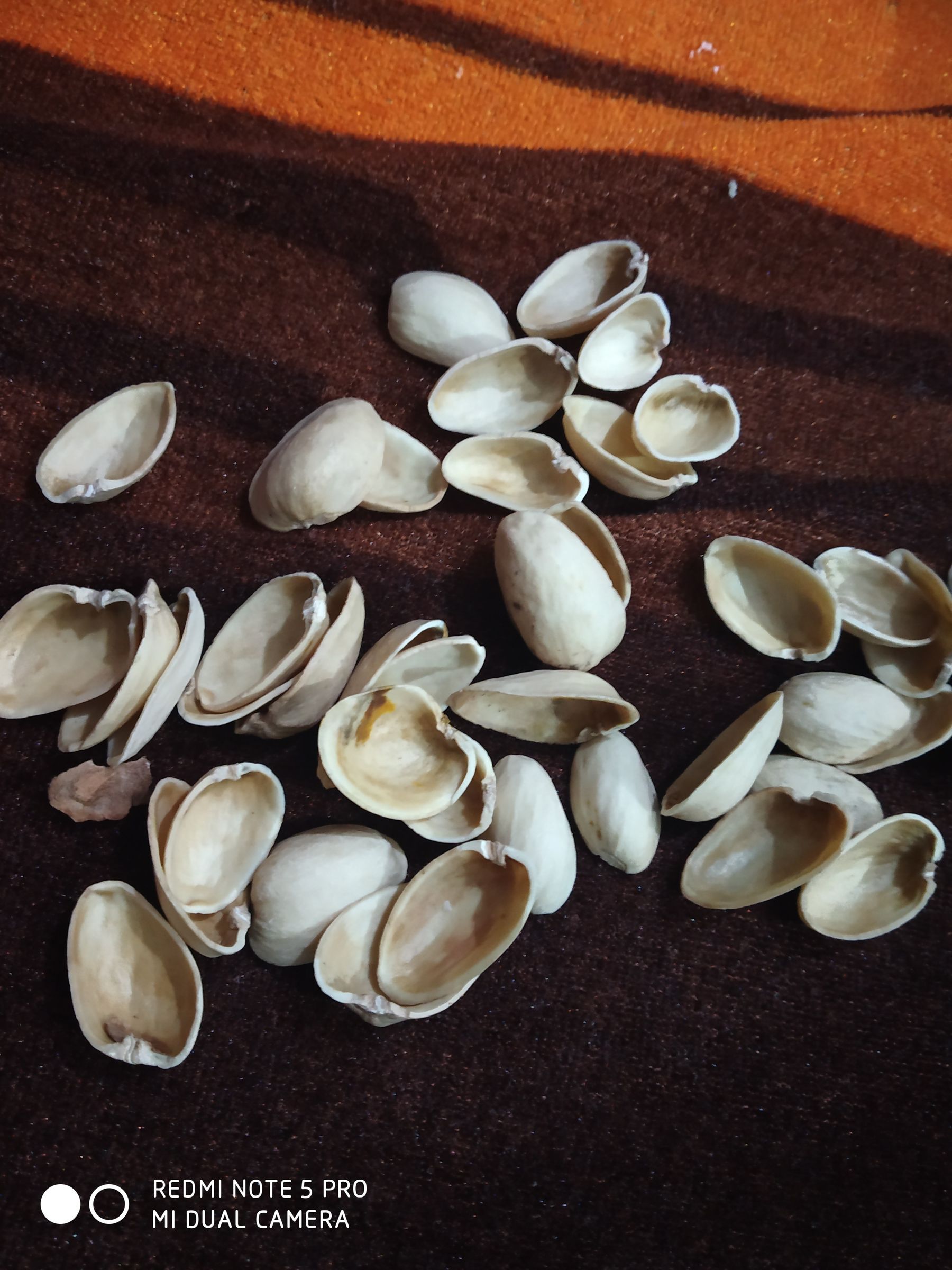 Pistachio Shell Jewellery : 8 Steps - Instructables