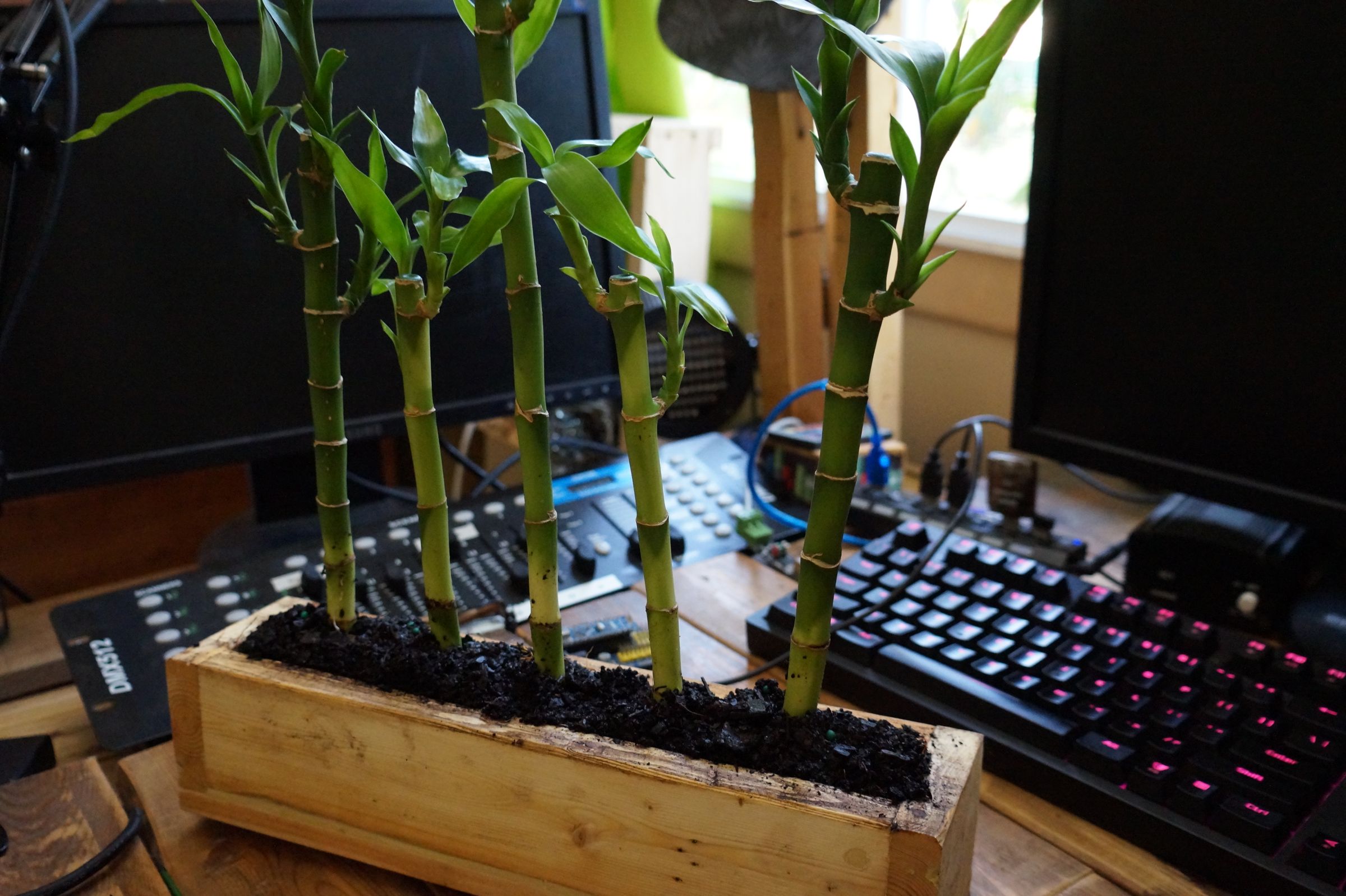 Magical Floating Planter Box : 6 Steps (with Pictures) - Instructables