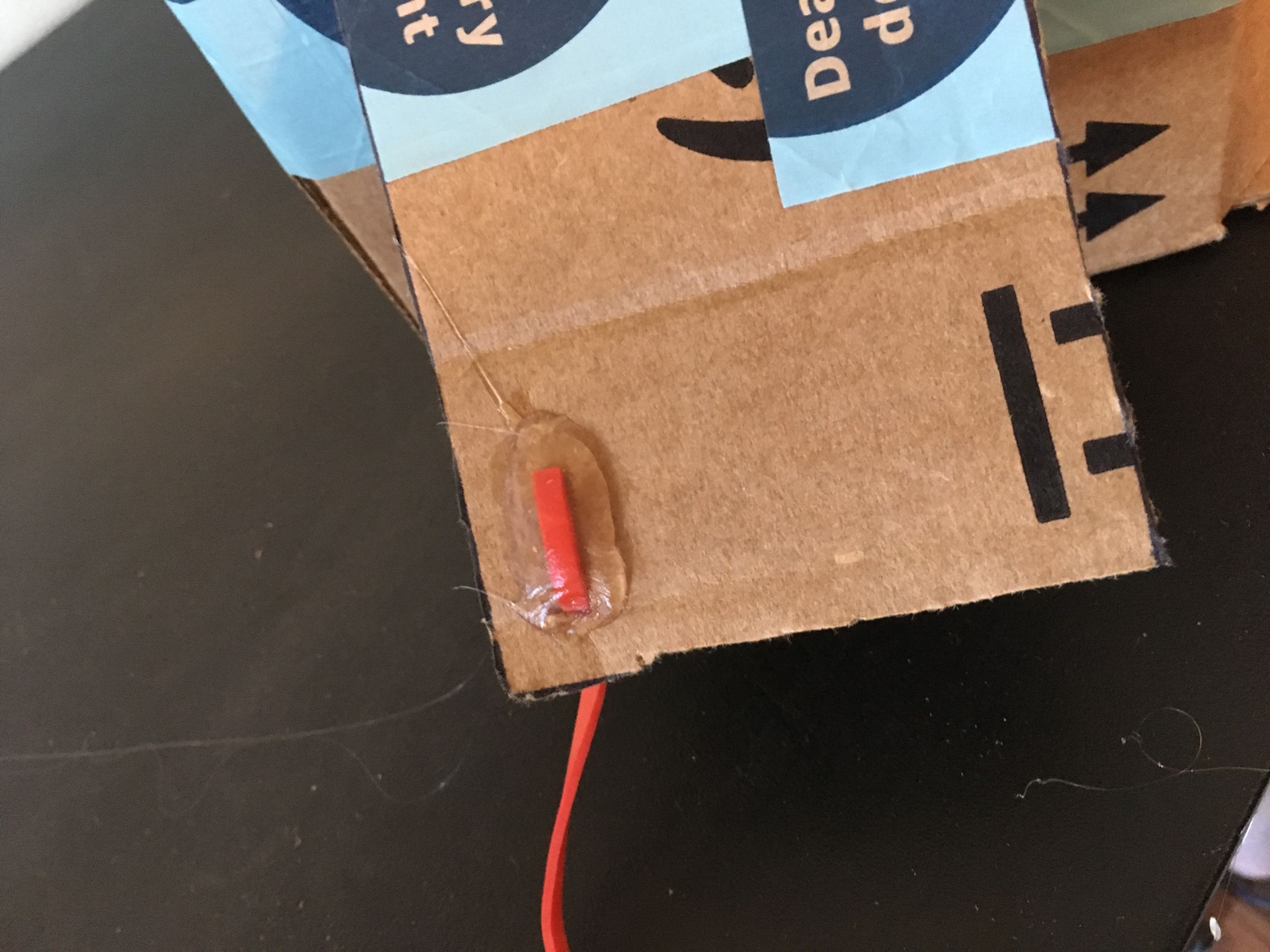 Cardboard Bird Trap : 6 Steps - Instructables