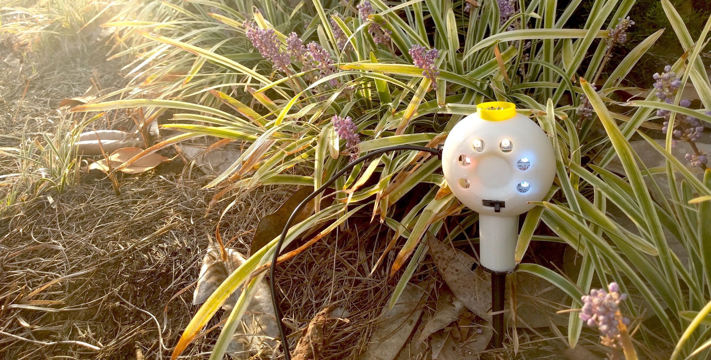 SunCalc: How Much Sunlight Is My Plant Getting? a Sun Light Calculator ...