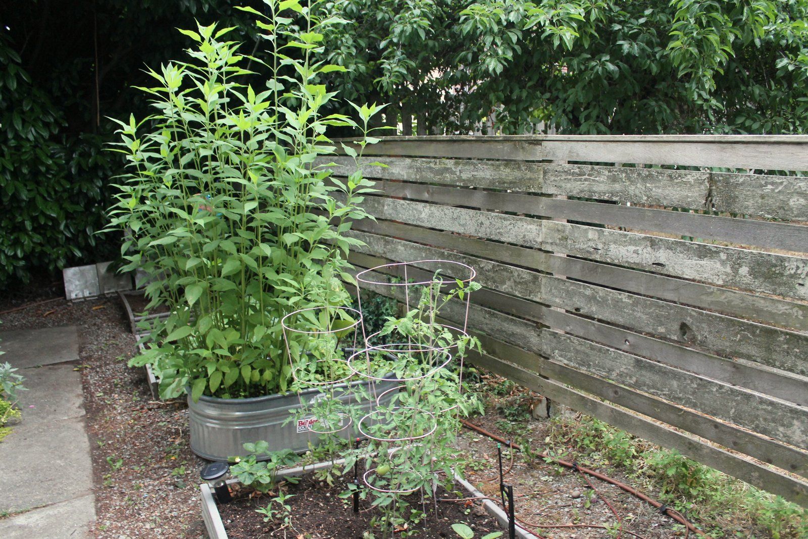 Half Recycled Fence Strategy : 7 Steps - Instructables