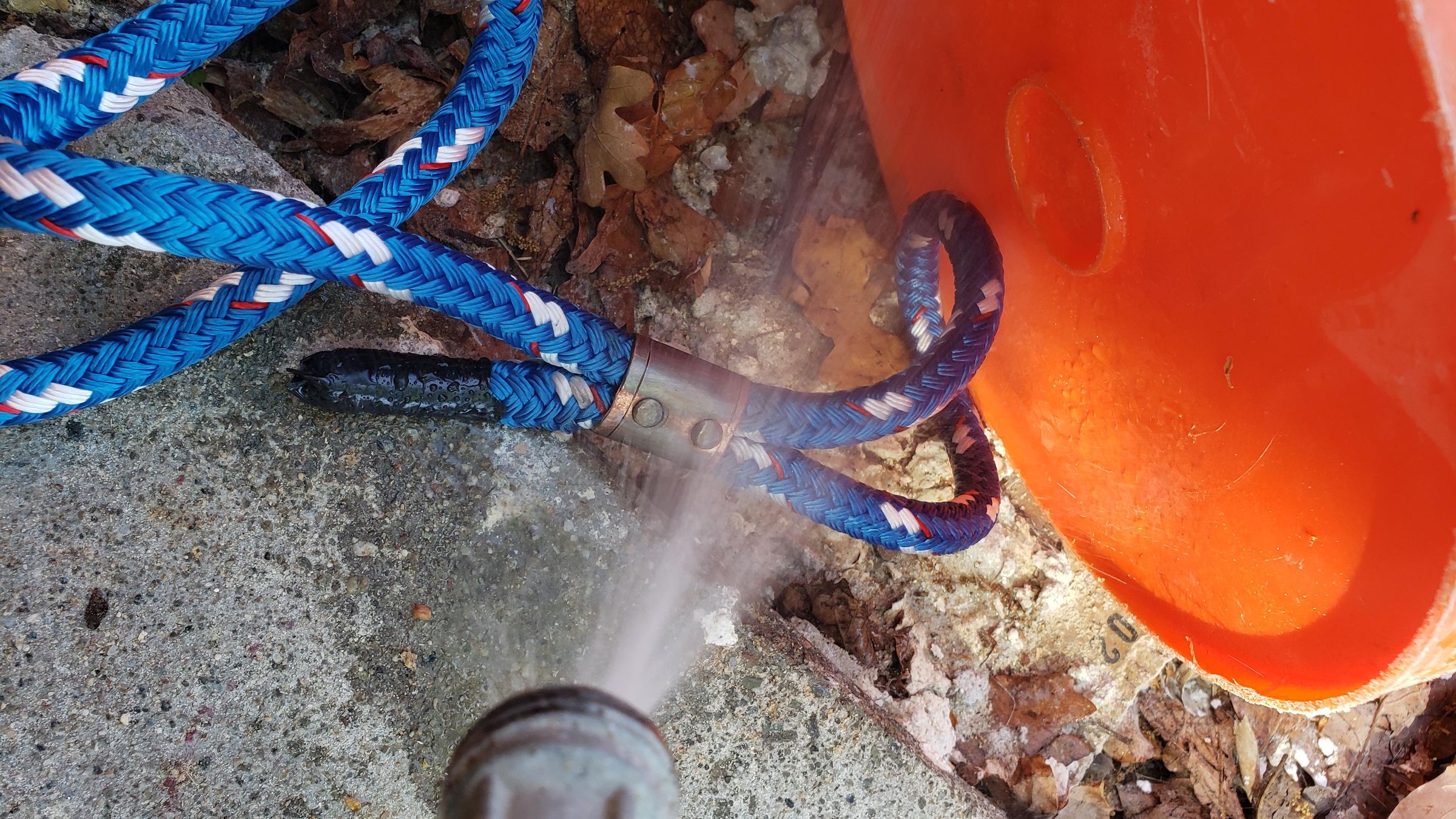 Rope Leash! : 28 Steps (with Pictures) - Instructables