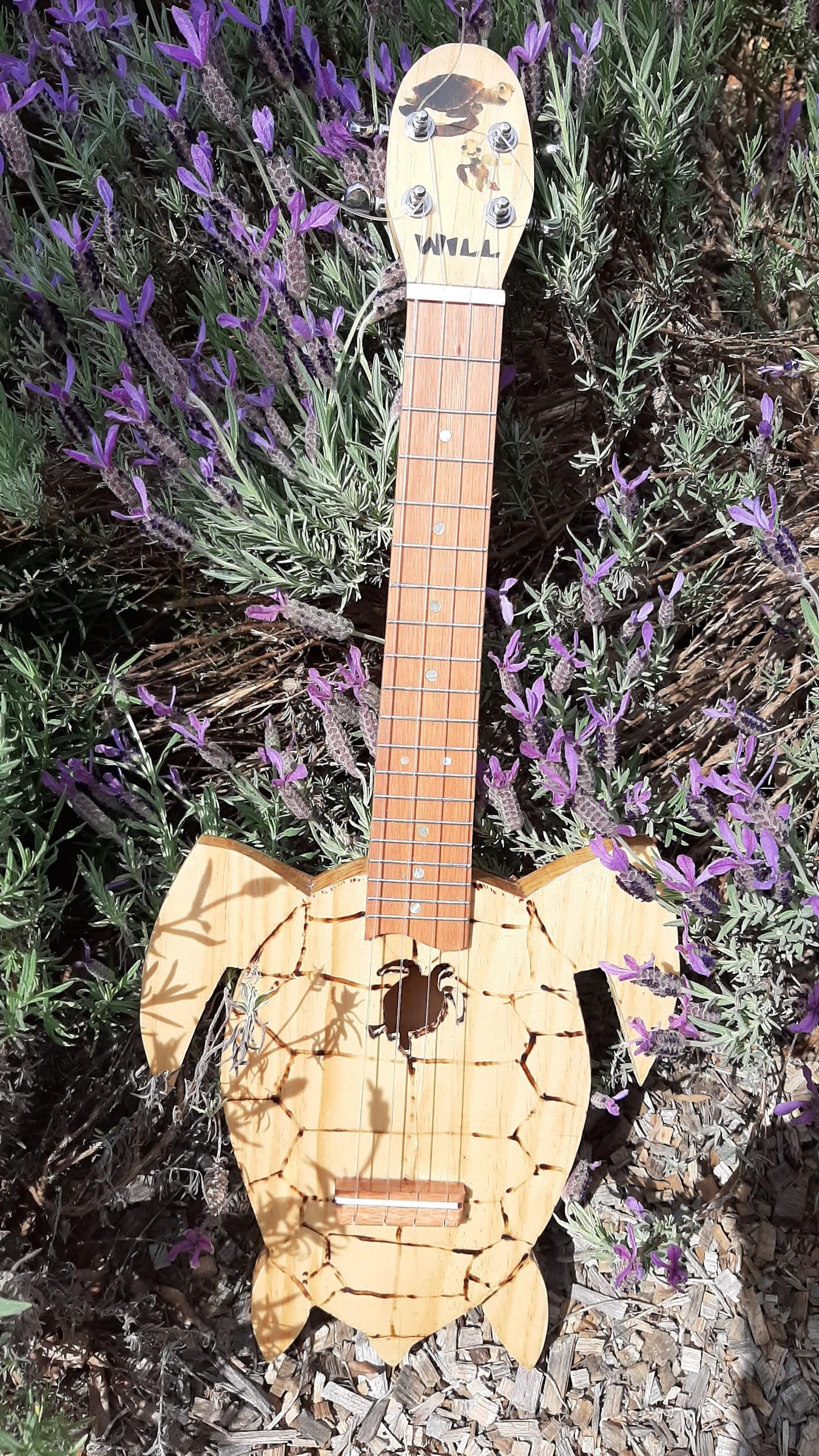 Band Sawn Bowl Ukulele : 16 Steps (with Pictures) - Instructables