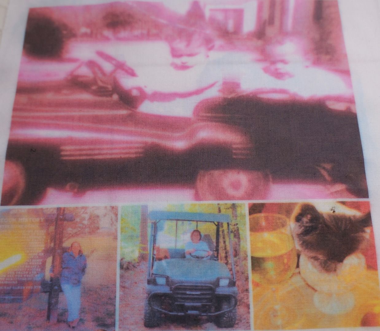 How to Print Fabric With an Inkjet Printer and a DIY Colorfast Recipe ...