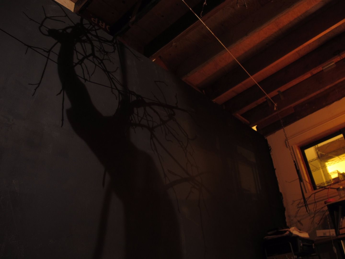 Tree Shadow Light:Night Forest in Your Bedroom : 3 Steps - Instructables