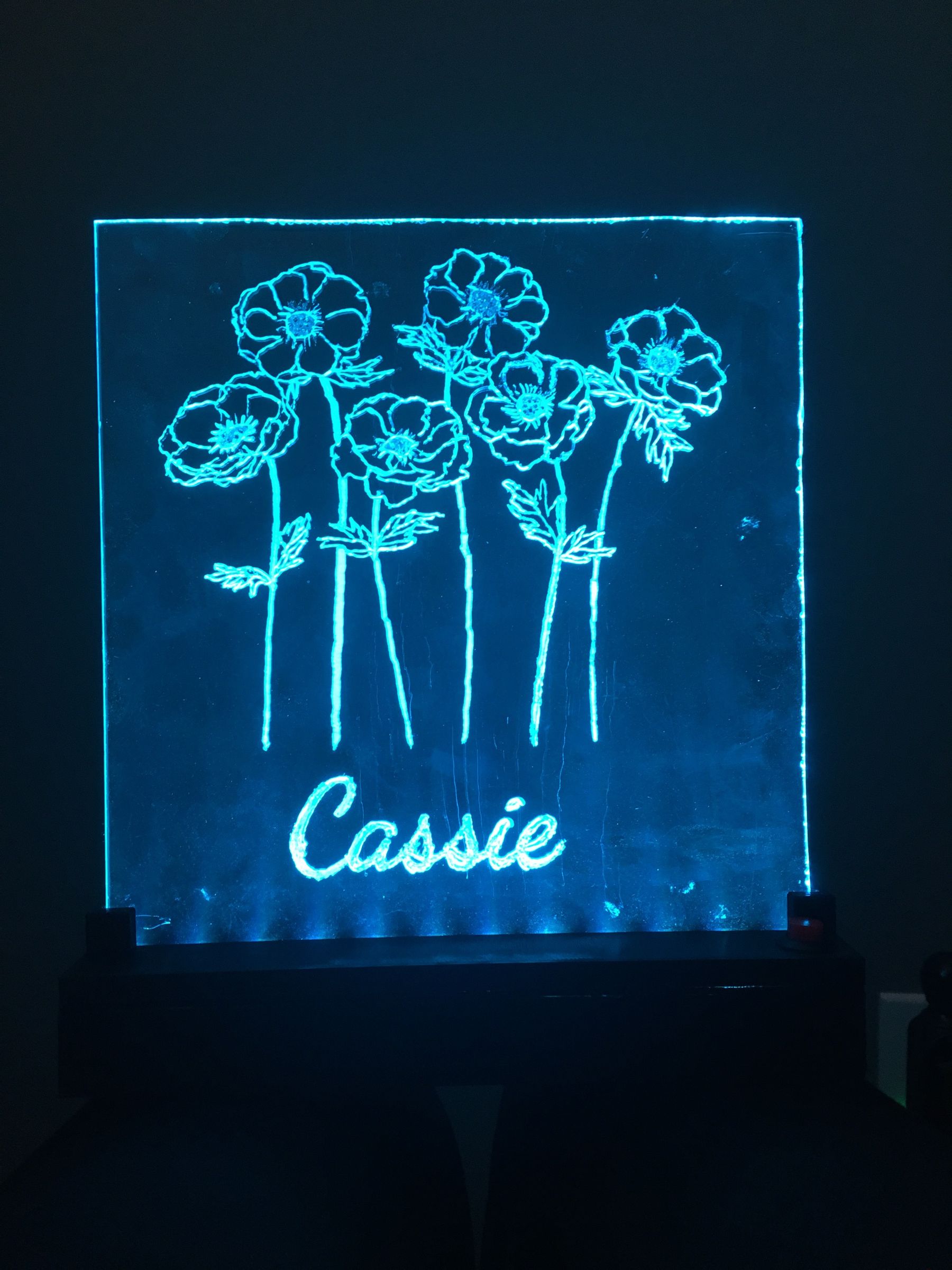 3D Printed LED Plexiglass Sign (Color Changing) : 5 Steps - Instructables