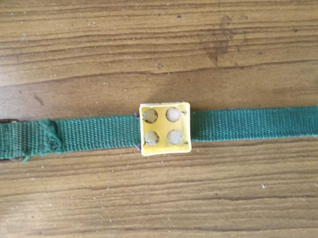 Tinyduino LoRa Based Pet Tracker : 7 Steps - Instructables
