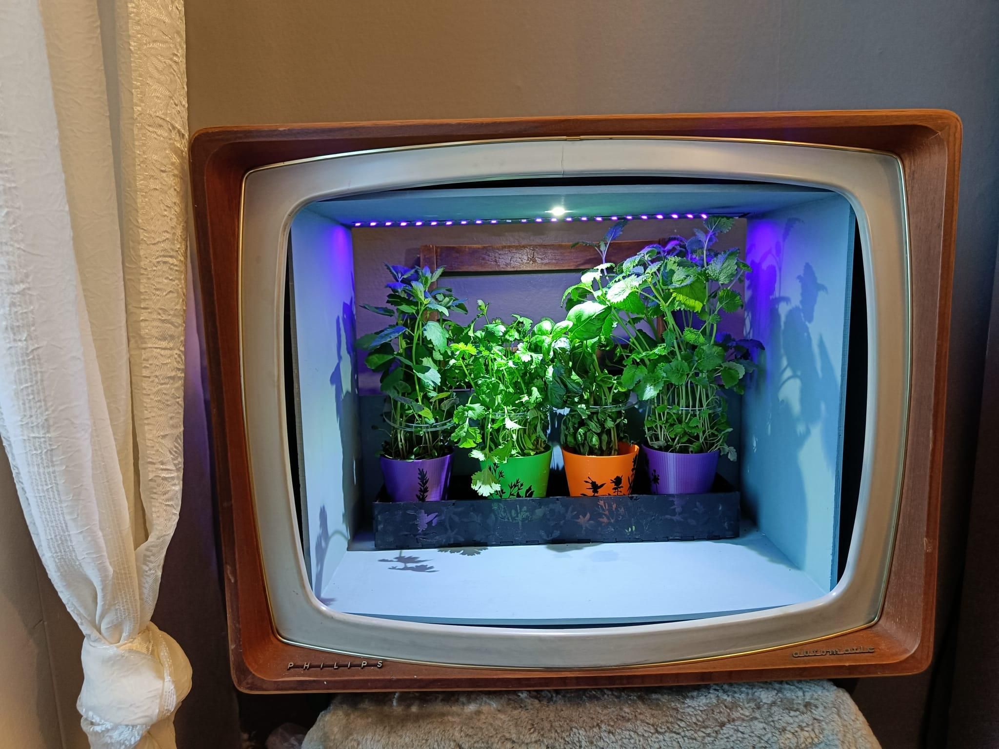 Automatic Plant Watering System : 9 Steps - Instructables