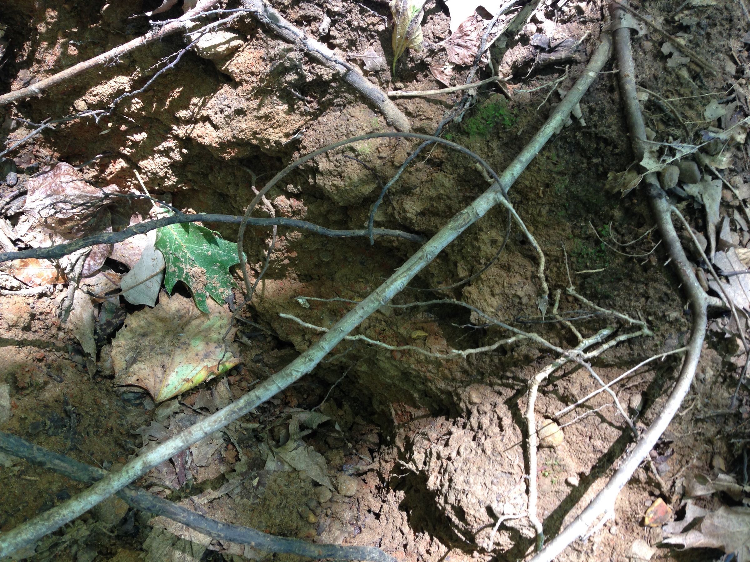 Harvesting Your Own Clay, Dirty But Delightful! : 22 Steps (with ...