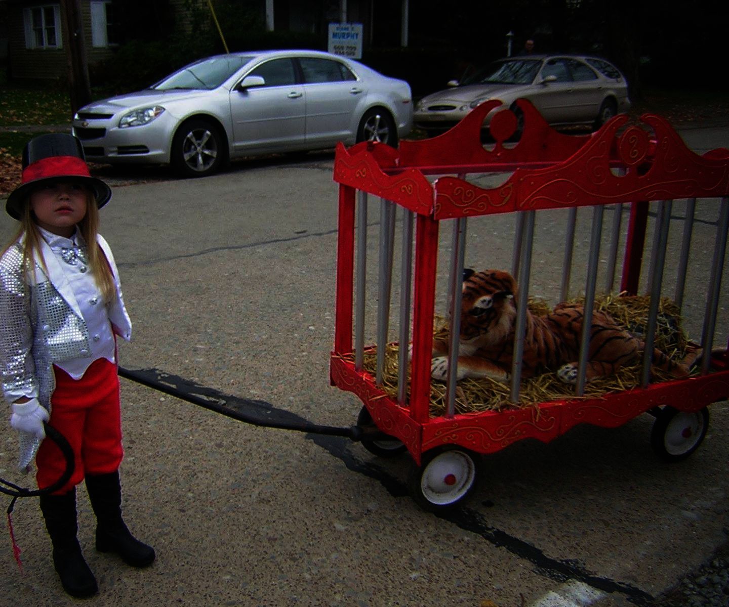 Circus Tiger Ringmaster - Instructables