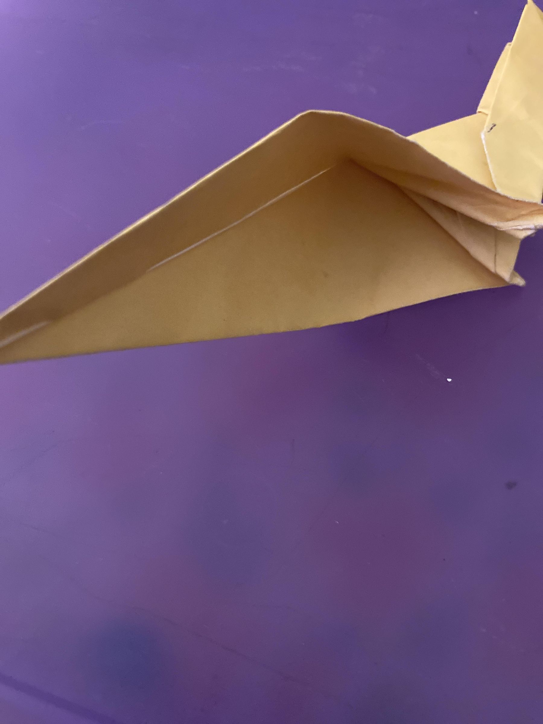 Origami Rat : 27 Steps - Instructables