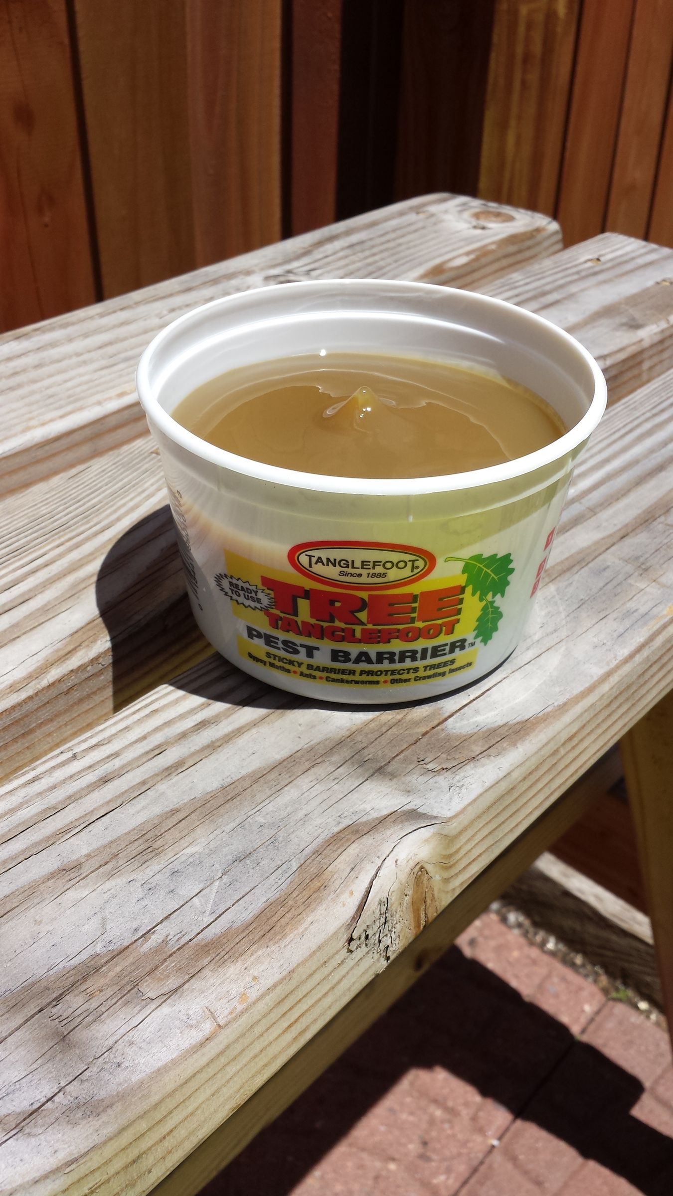 Home-made Insect Sticky Traps! : 4 Steps (with Pictures) - Instructables