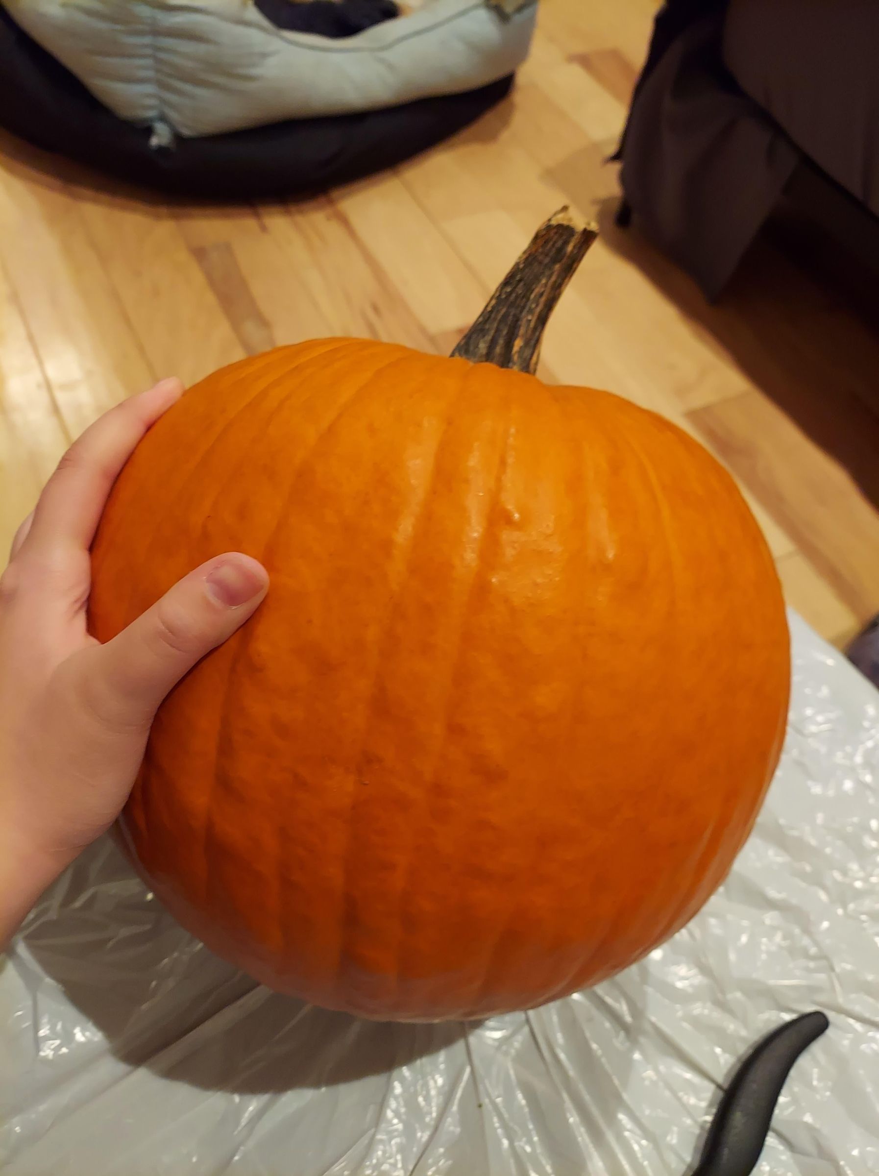 Cross-Stitched & Embroidered Pumpkins : 12 Steps (with Pictures ...