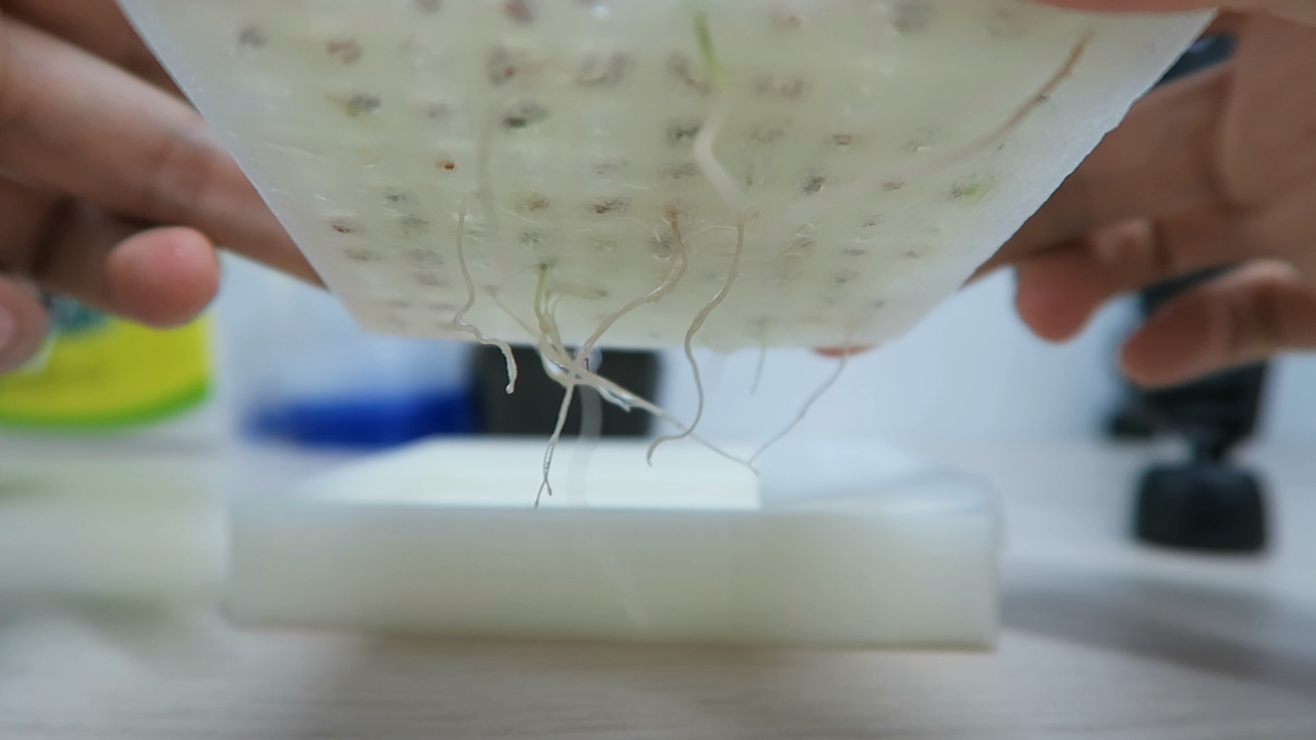 Germinate Seeds With a 3D Printed Container : 6 Steps (with Pictures ...