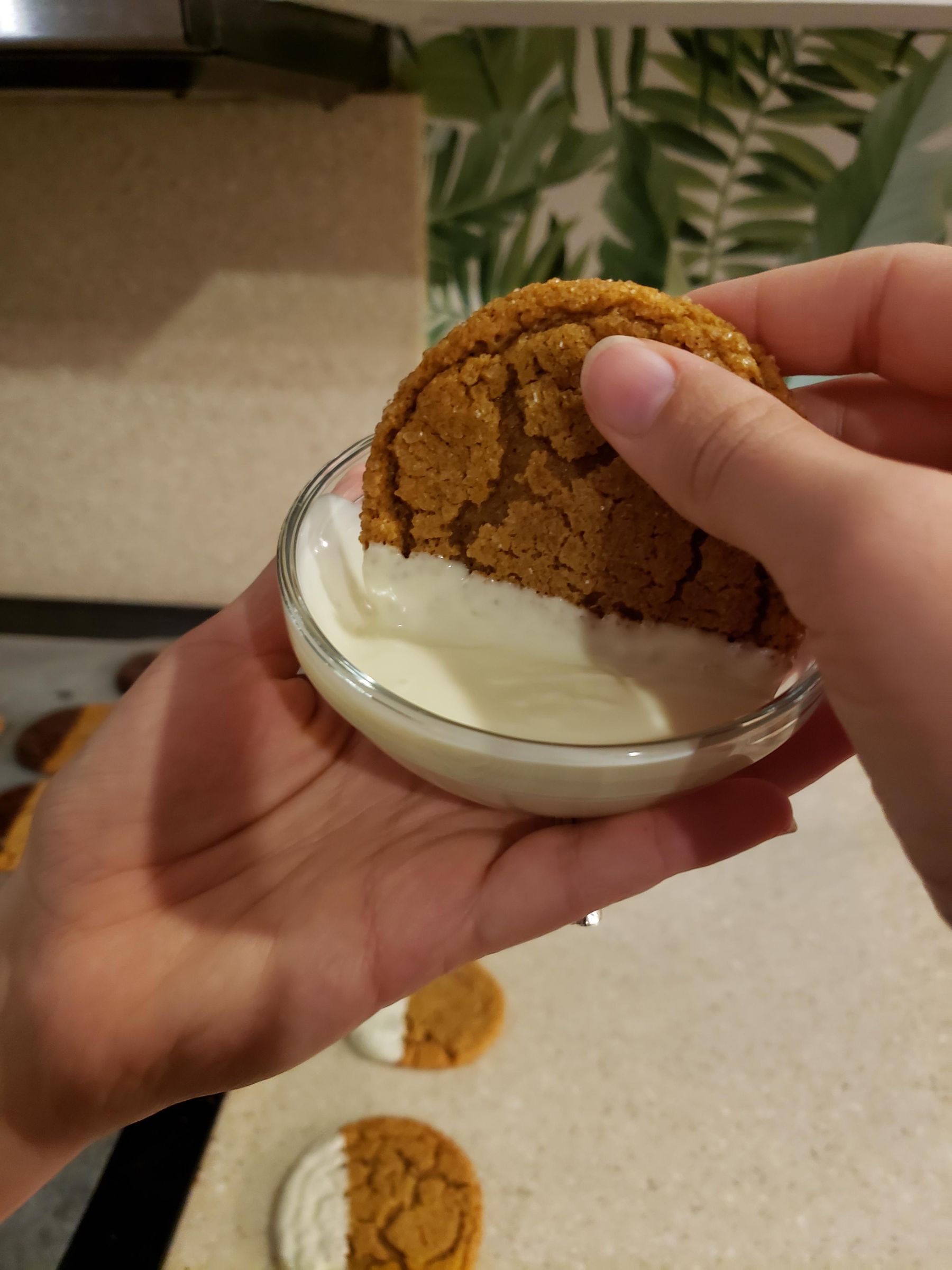 Chocolate Dipped Gingersnaps : 6 Steps (with Pictures) - Instructables