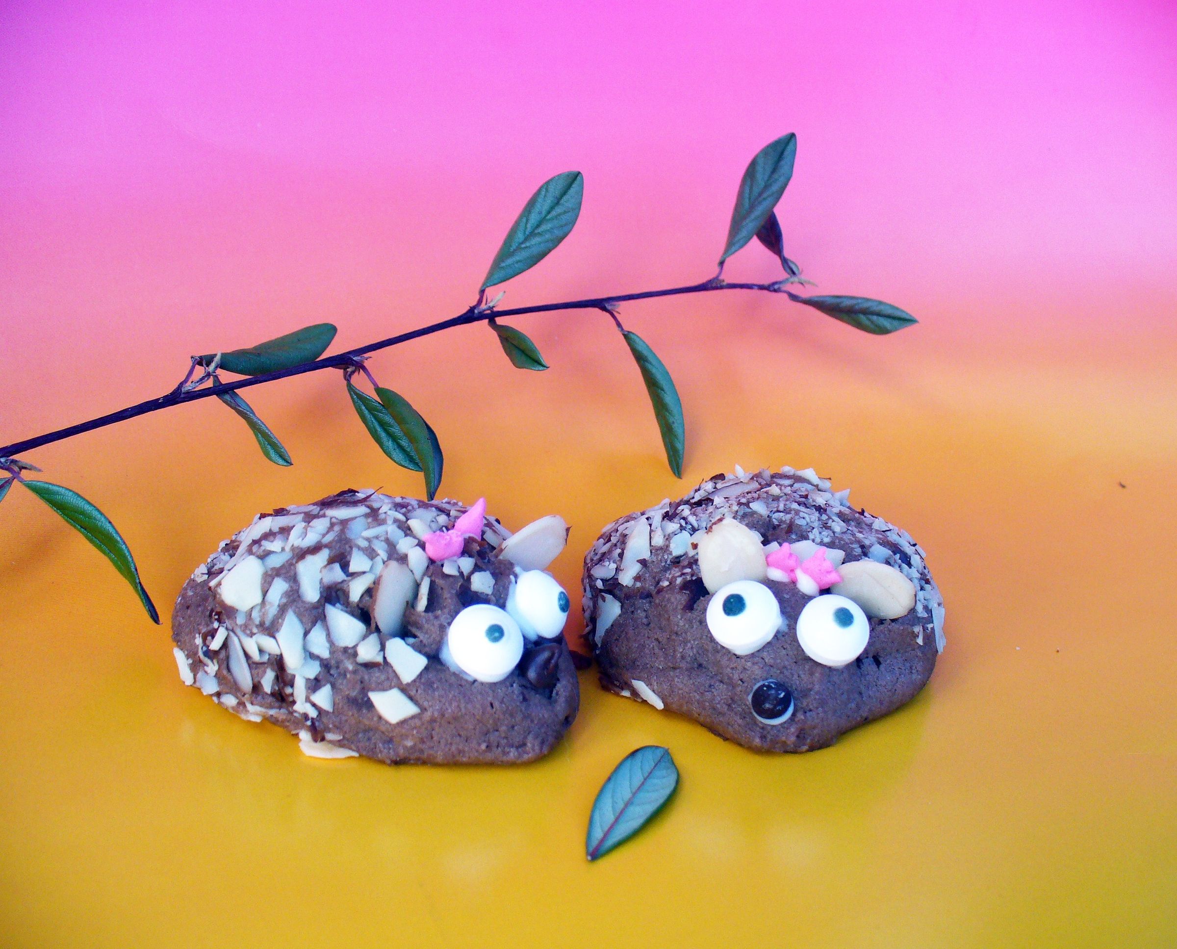 Amazing Chocolate Hedgehog Cookies - Instructables