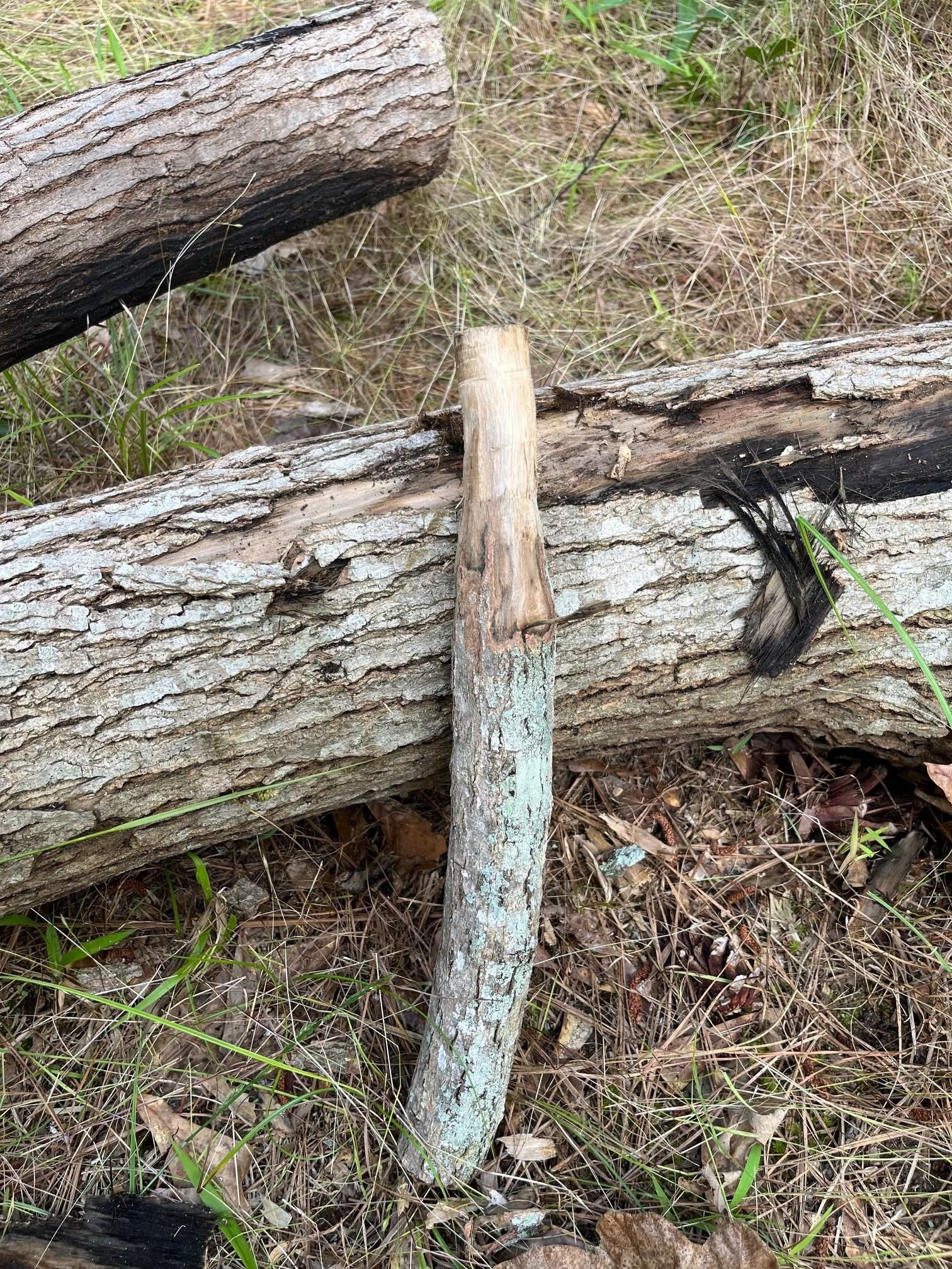 Bushcraft Mallet With a Scotched Eye Auger : 5 Steps - Instructables