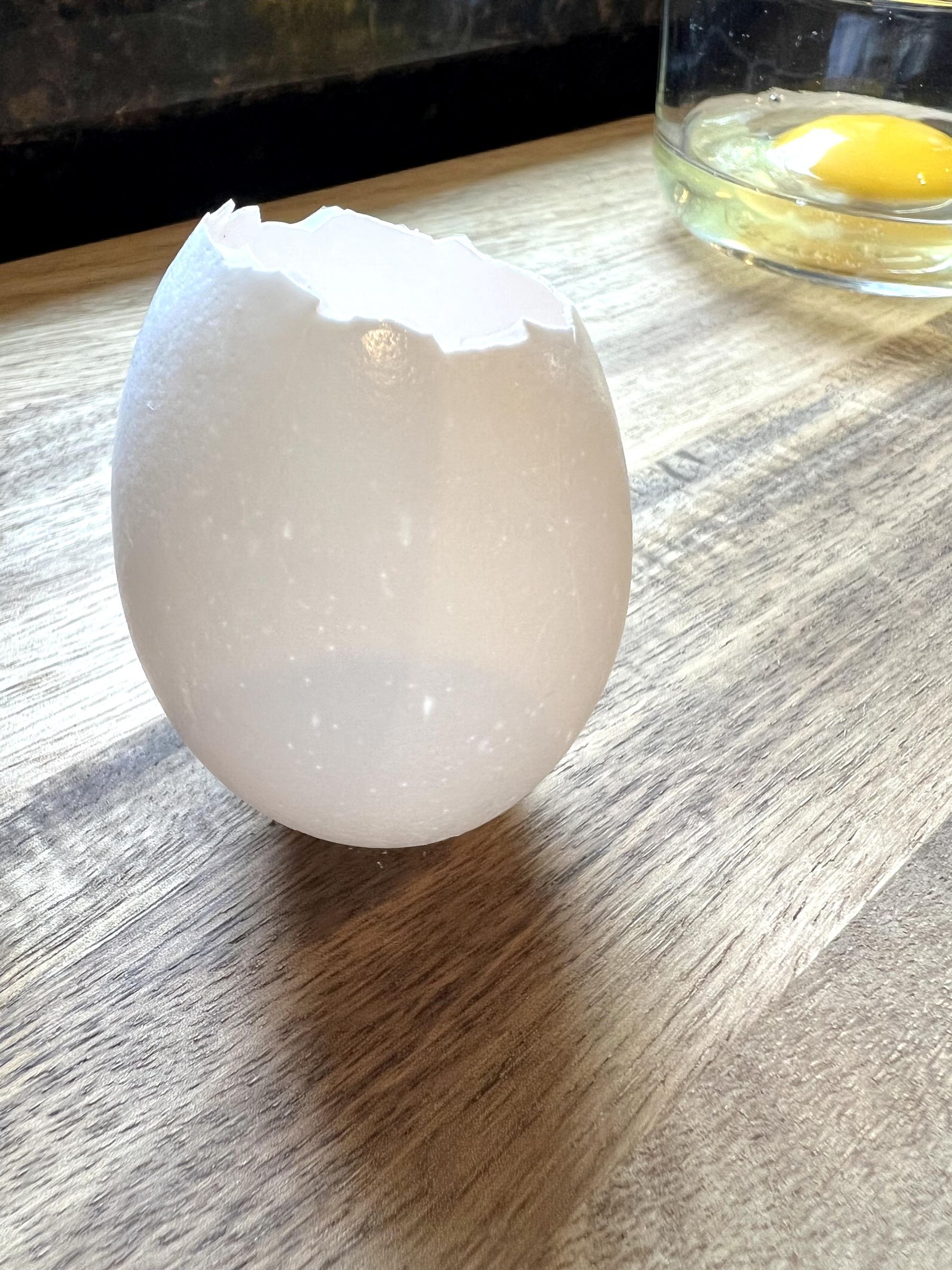 Egg Shell Planters : 5 Steps - Instructables