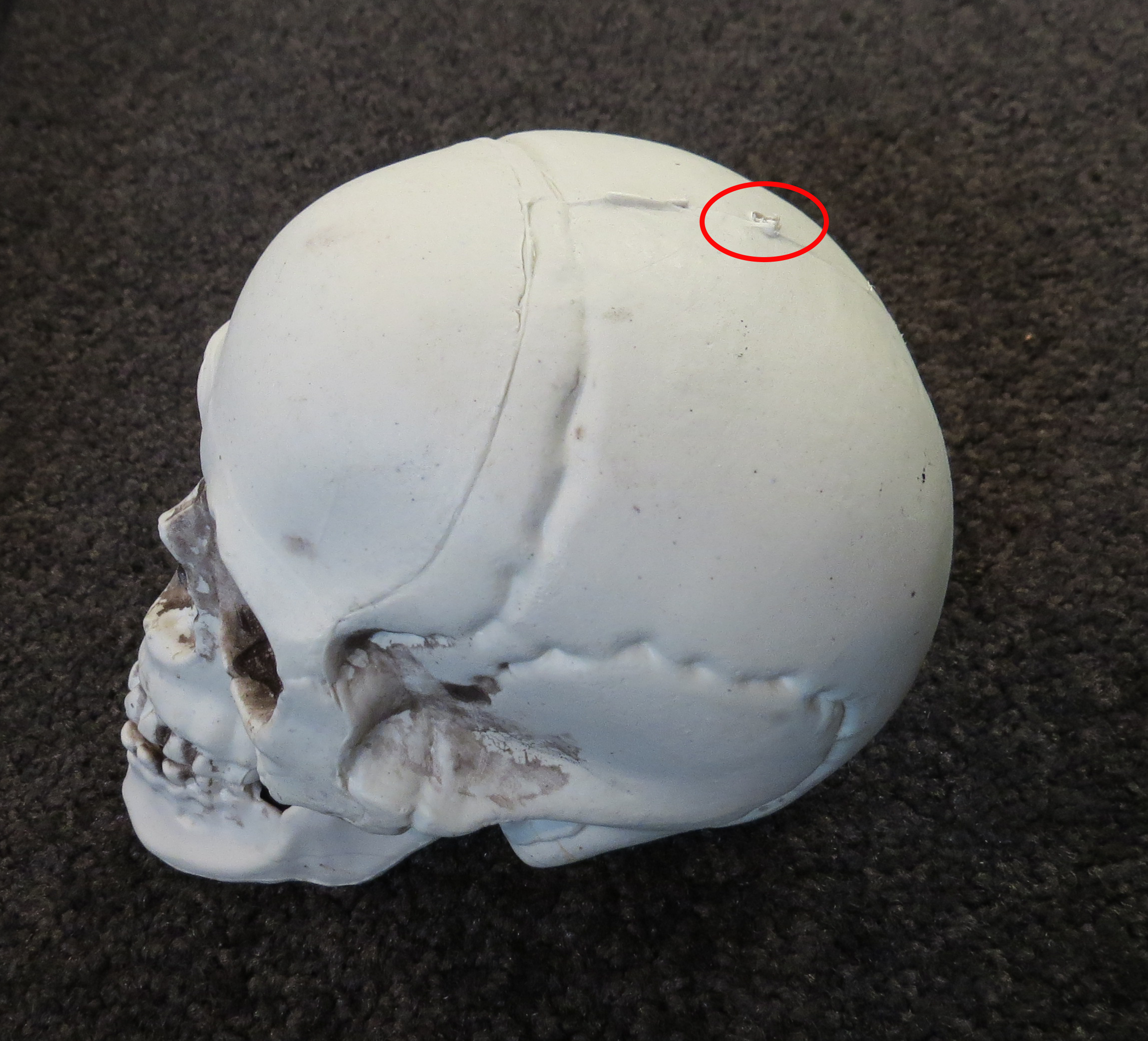 Quick & Easy Ghouls!!! : 6 Steps (with Pictures) - Instructables