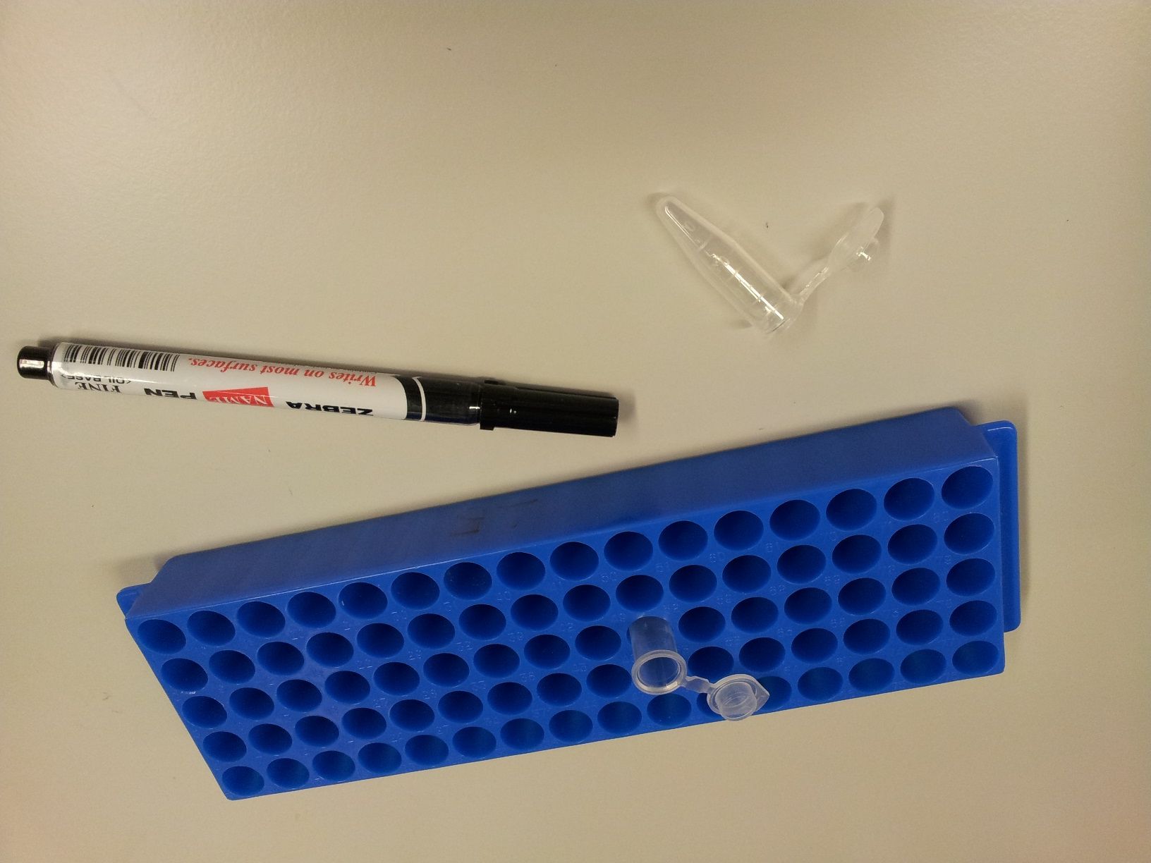 Evaluation for an APS/TEMED Aliquot in the SDS-PA Gel Protocol : 8 ...