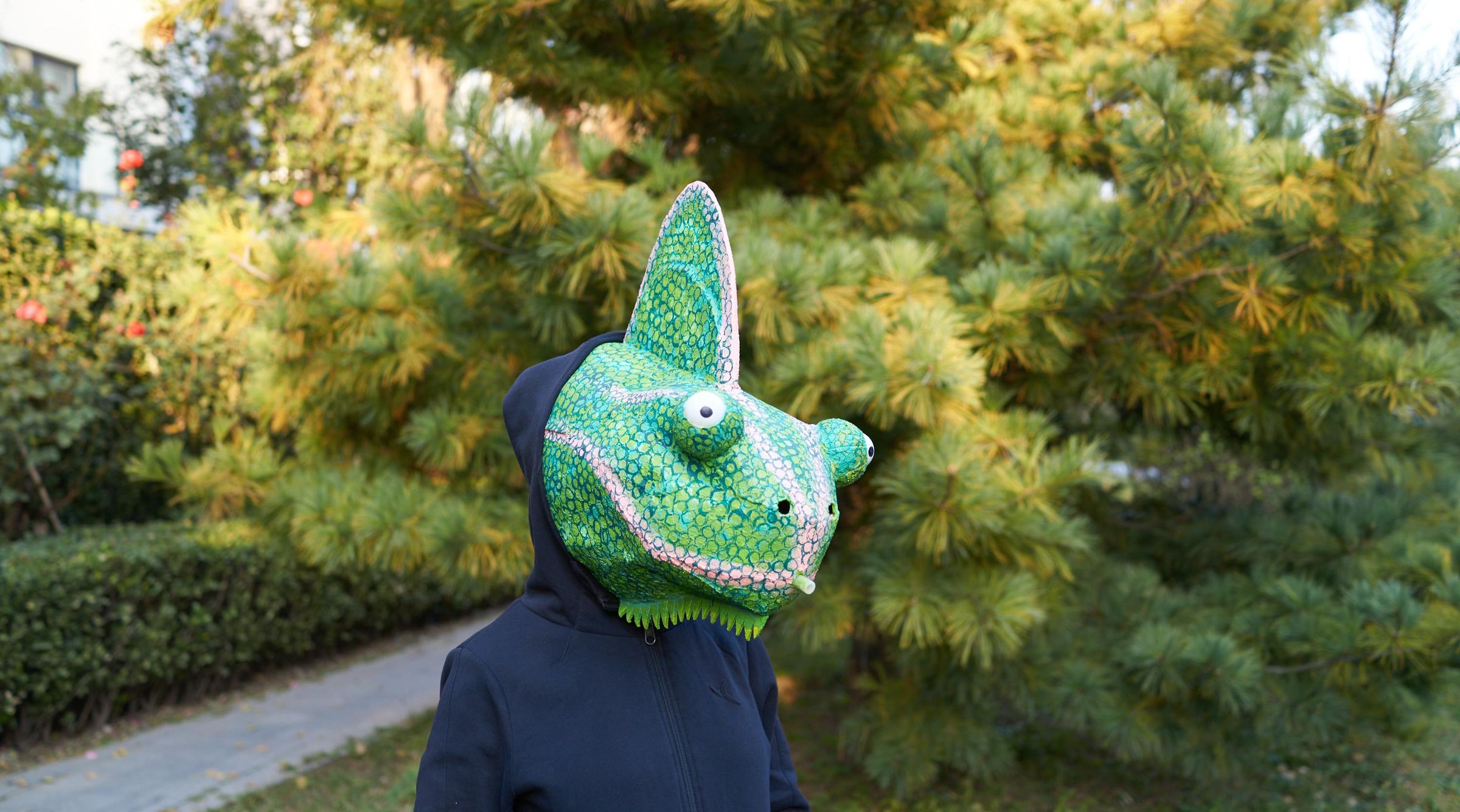 Chameleon Mask : 8 Steps (with Pictures) - Instructables