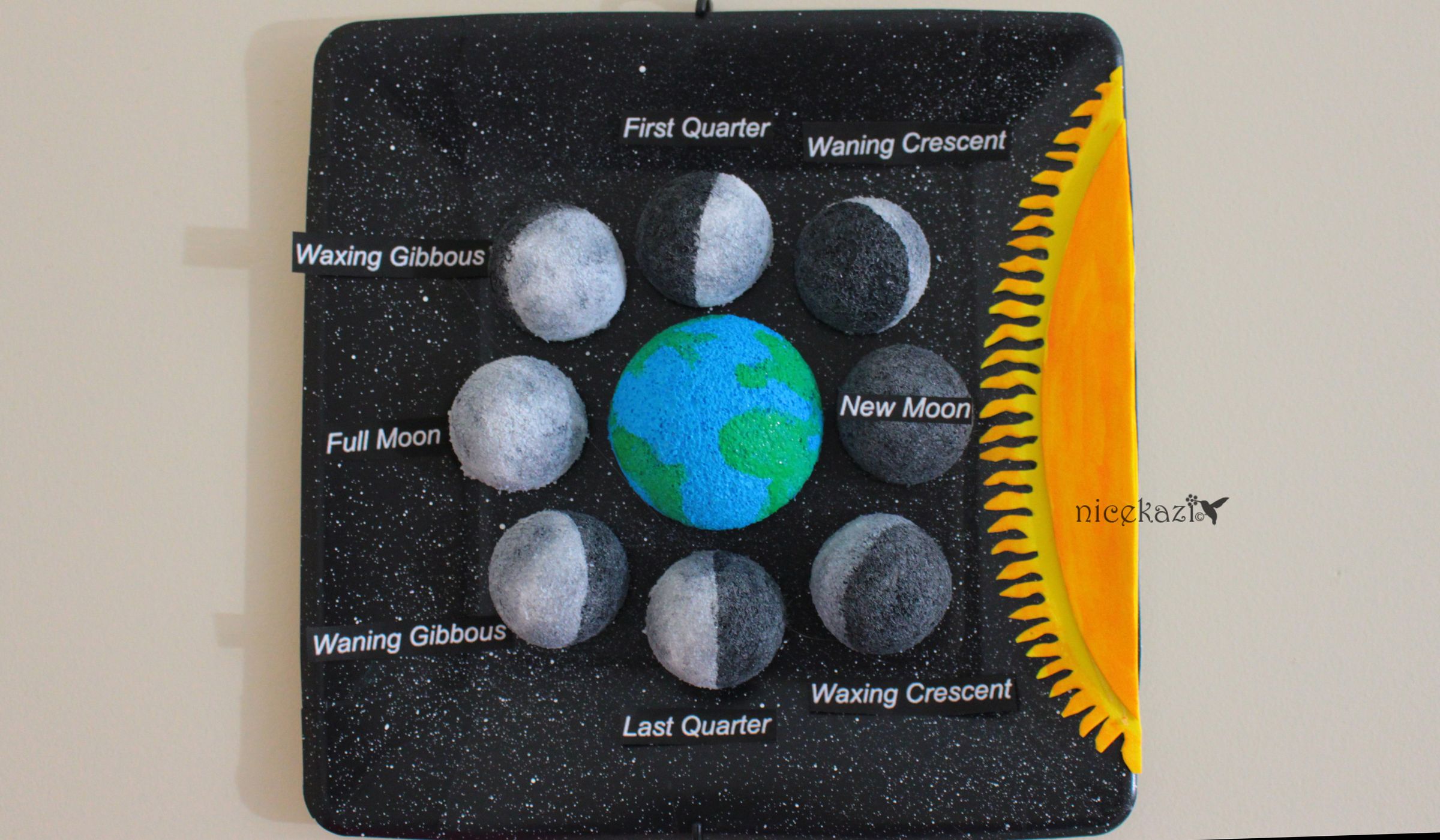 How to Make Moon Phases Project for School: Using Paper Plate and ...