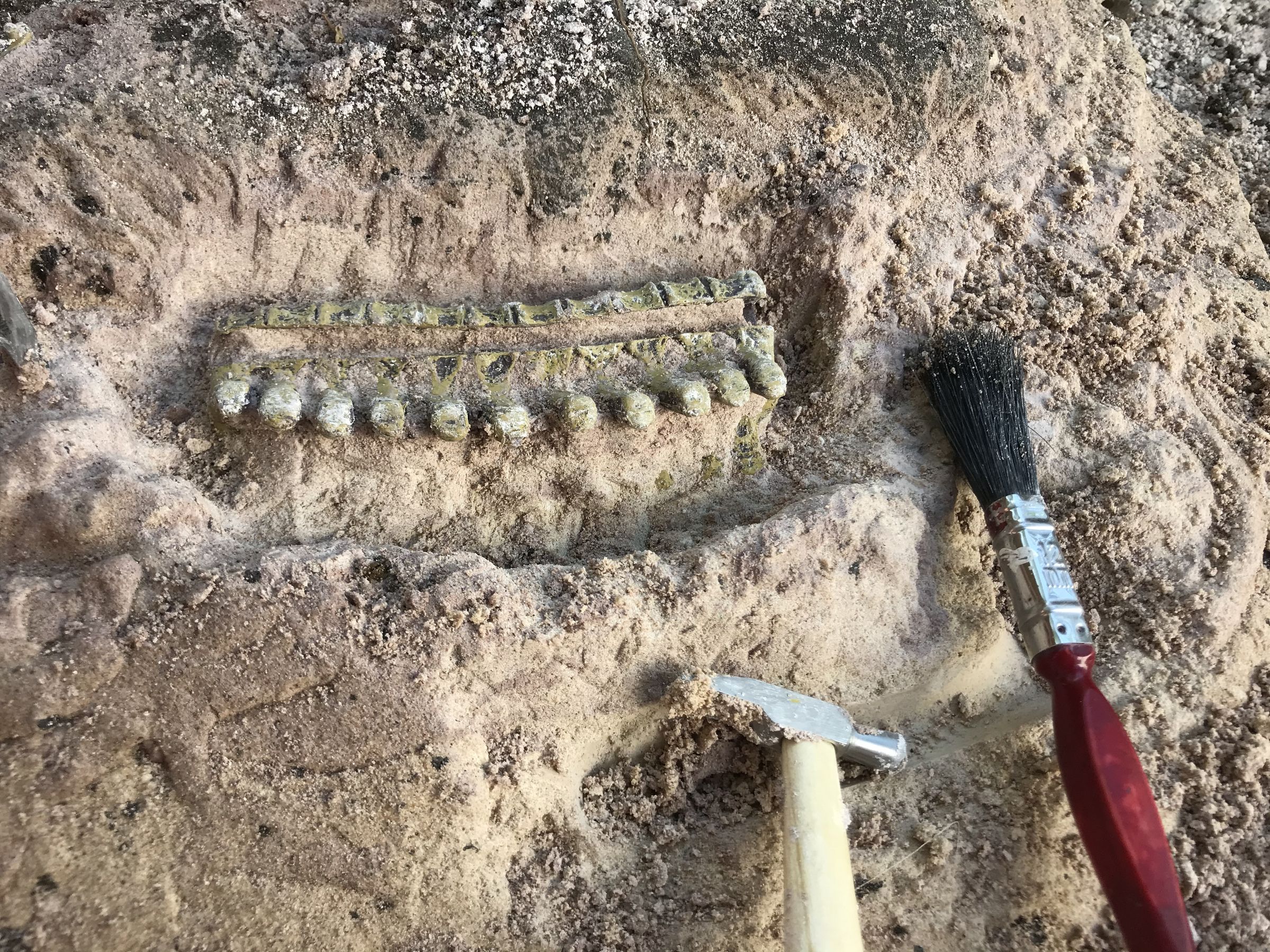 HUGE Homemade Dinosaur Excavation Dig : 5 Steps - Instructables