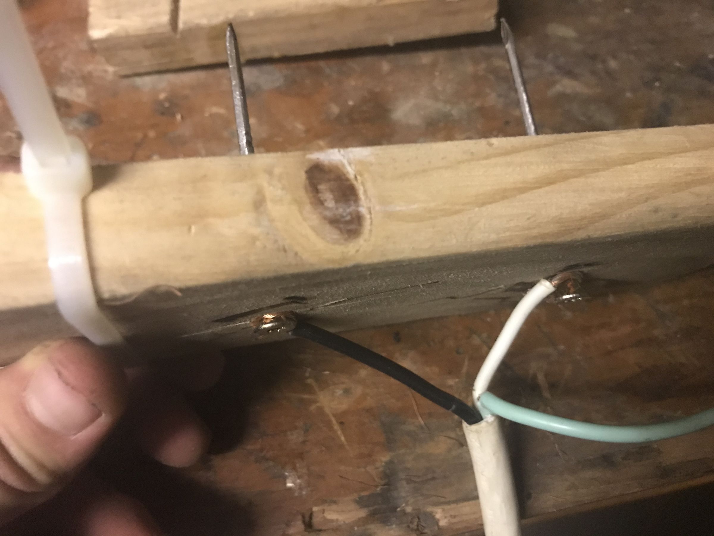 Glowing Pickle : 5 Steps - Instructables