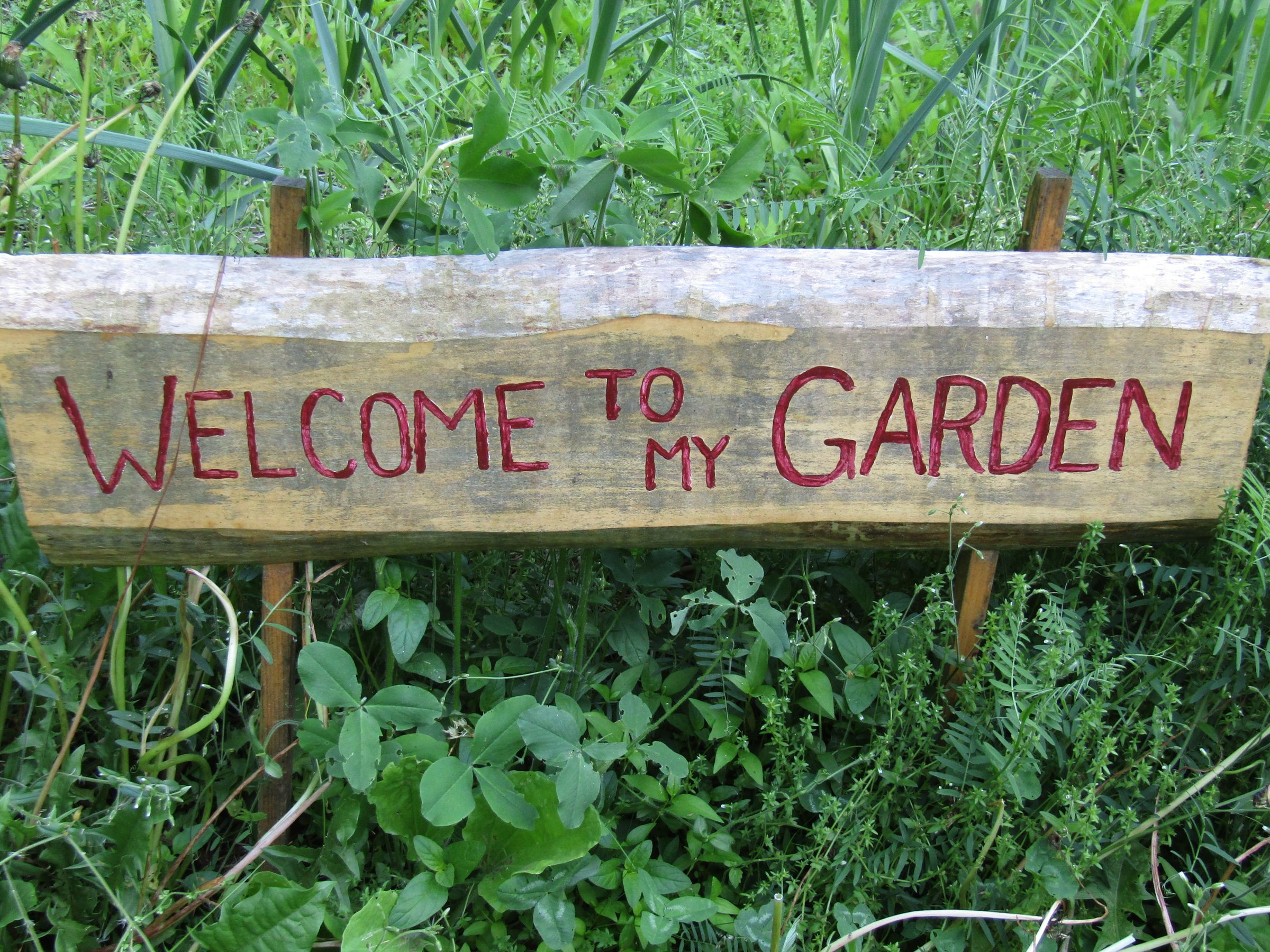 Build an Irrigation System Powered by the Curvature of Space-time : 6 Steps (with Pictures ...