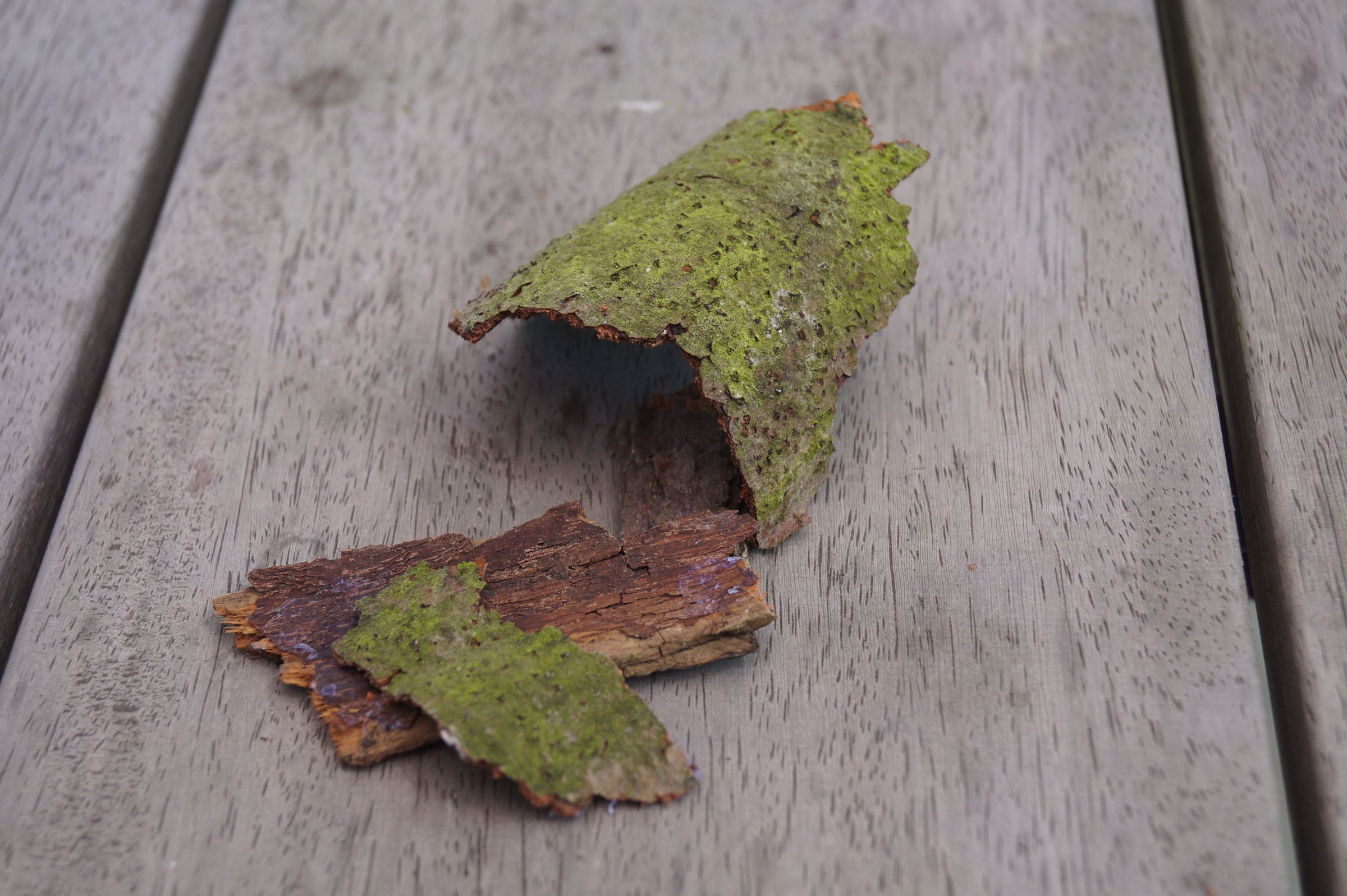 Creativity : Geocatch Map : 13 Steps (with Pictures) - Instructables