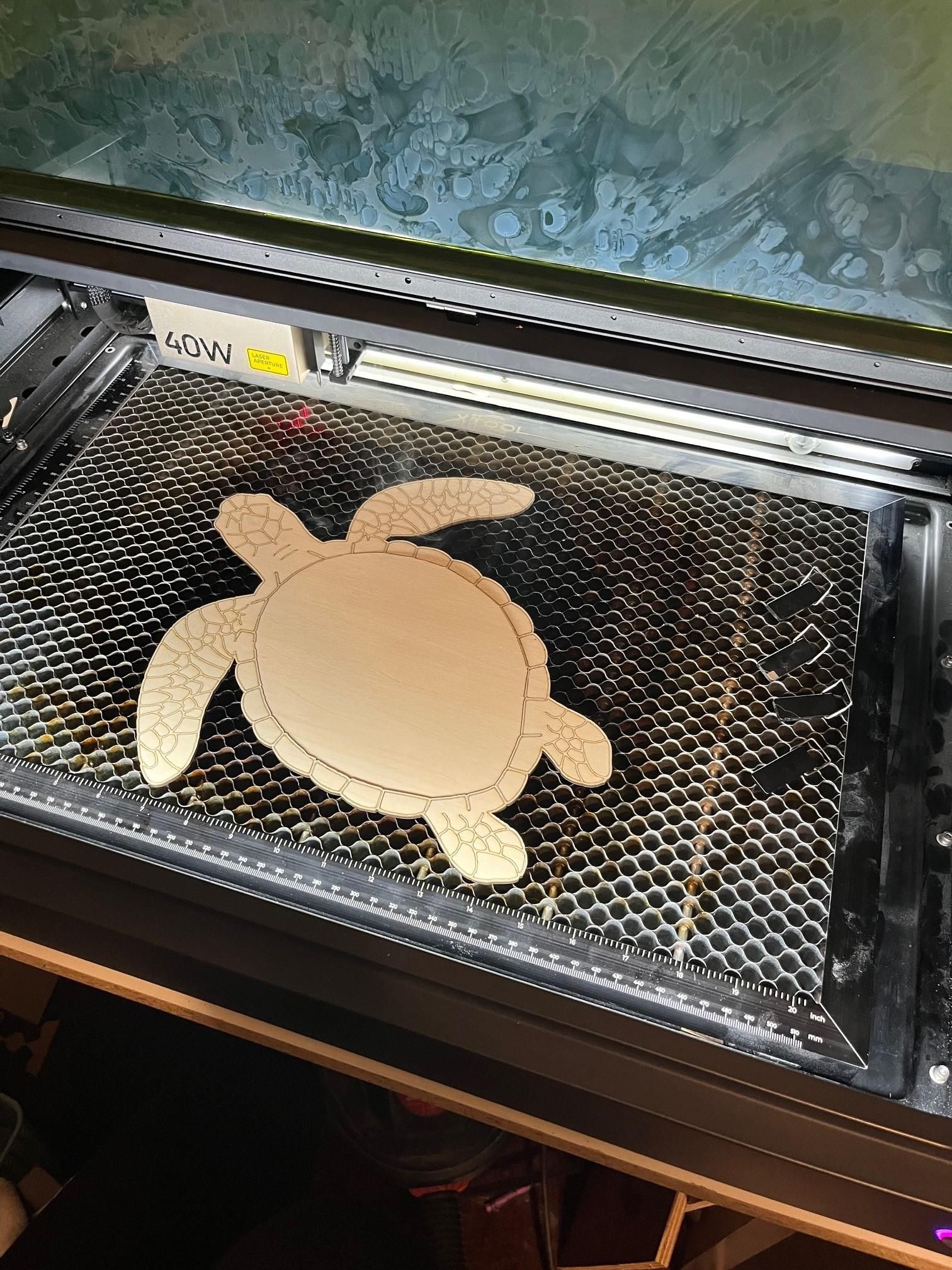 Sea Turtle-Shaped Shadow Box : 6 Steps (with Pictures) - Instructables