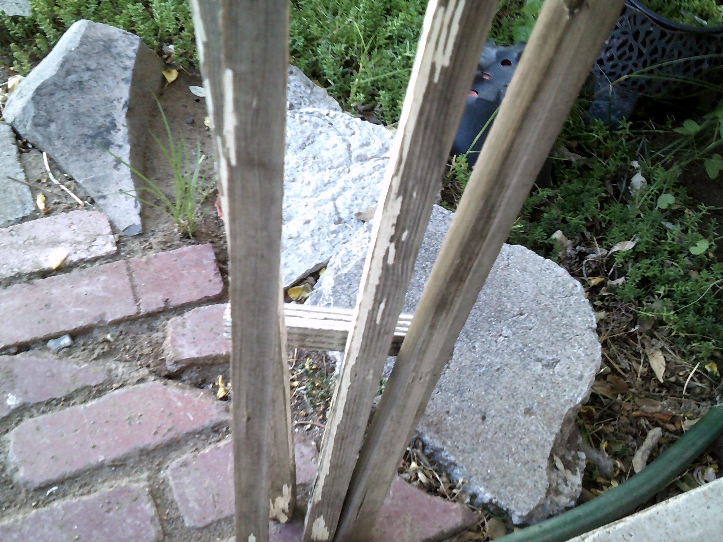 Garden Rainbow : 5 Steps (with Pictures) - Instructables