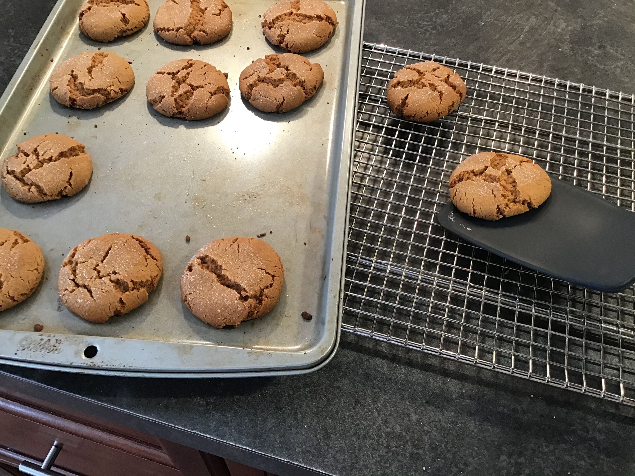 Ginger Snaps. : 5 Steps (with Pictures) - Instructables