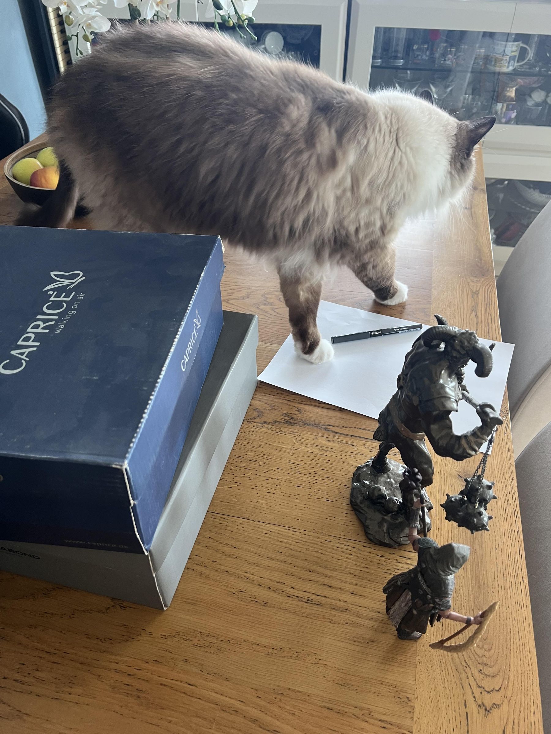 AI-Enhanced Indoor Adventure Track : 4 Steps (with Pictures ...