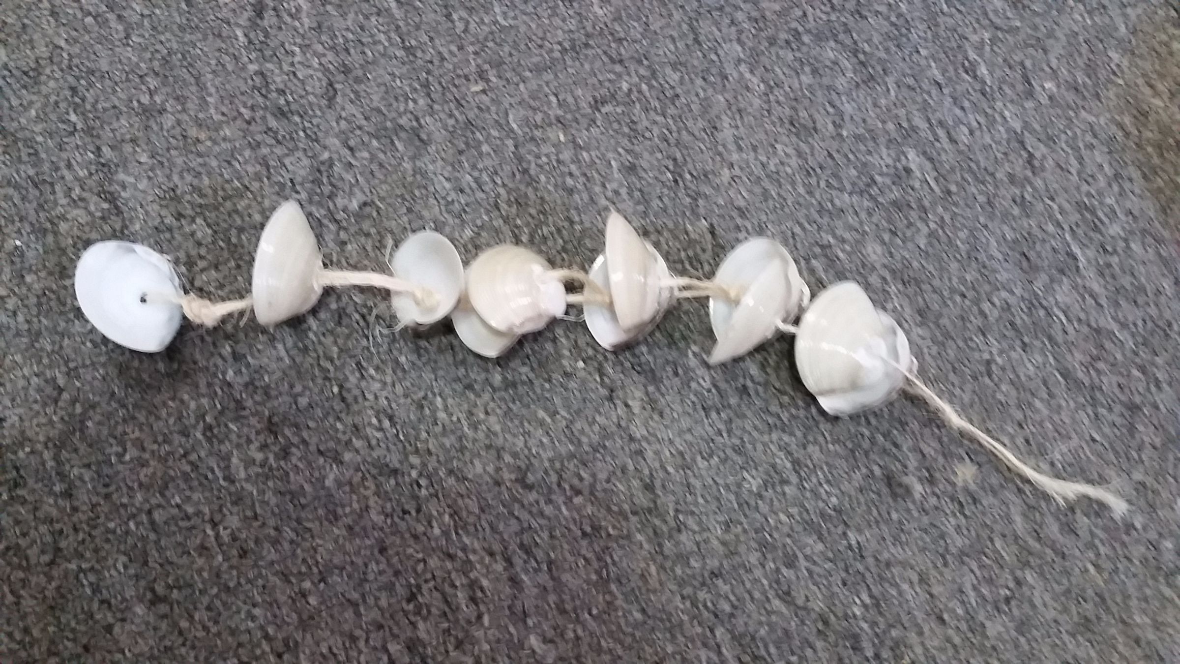 DIY Clam Shell Wind Chime : 4 Steps (with Pictures) - Instructables
