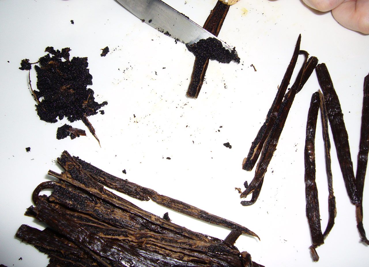 Make Vanilla Extract : 23 Steps (with Pictures) - Instructables