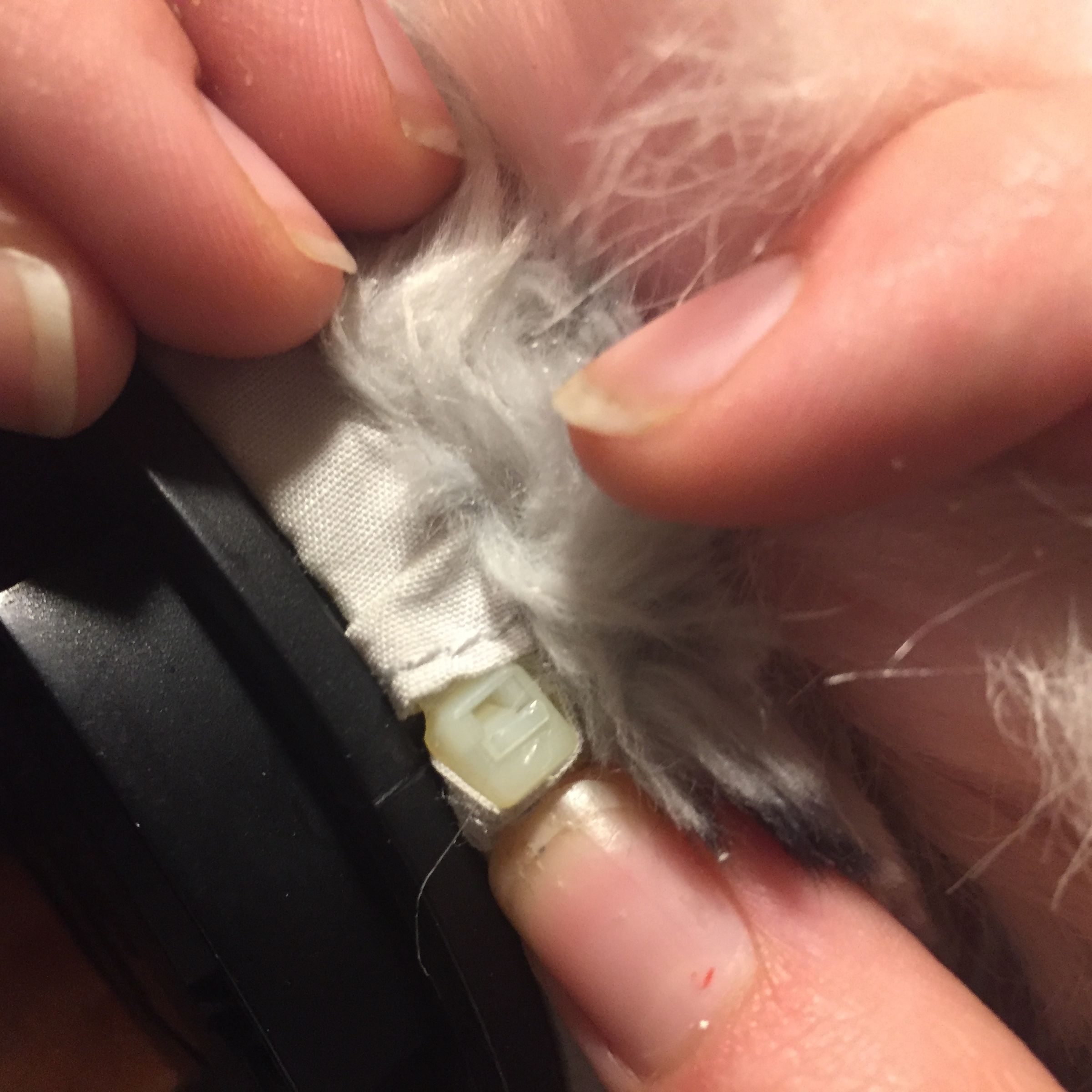 Longifying Your Furby : 17 Steps (with Pictures) - Instructables