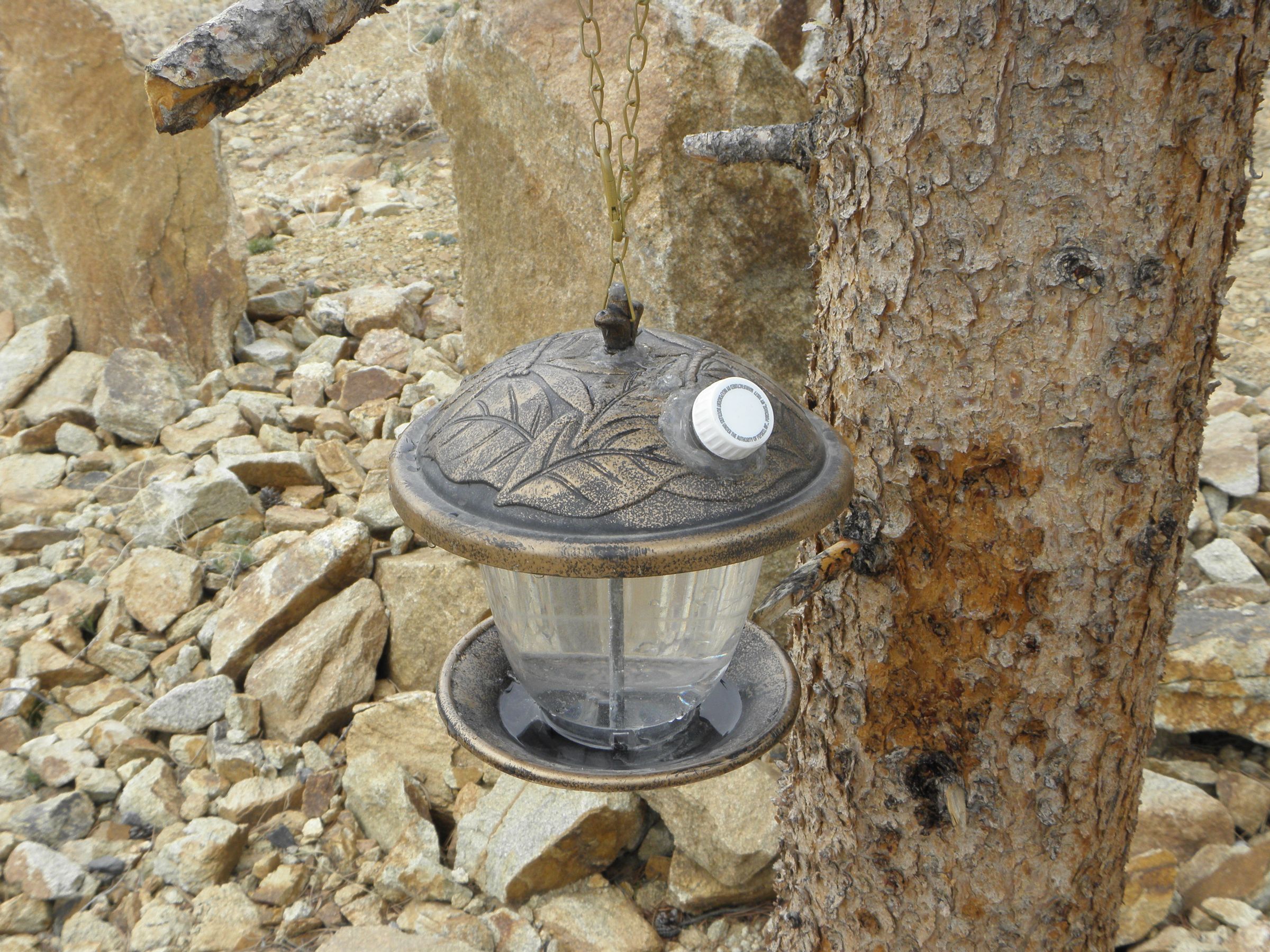 Convert a Bird Feeder Into a Wild Bird Waterer : 3 Steps (with Pictures ...