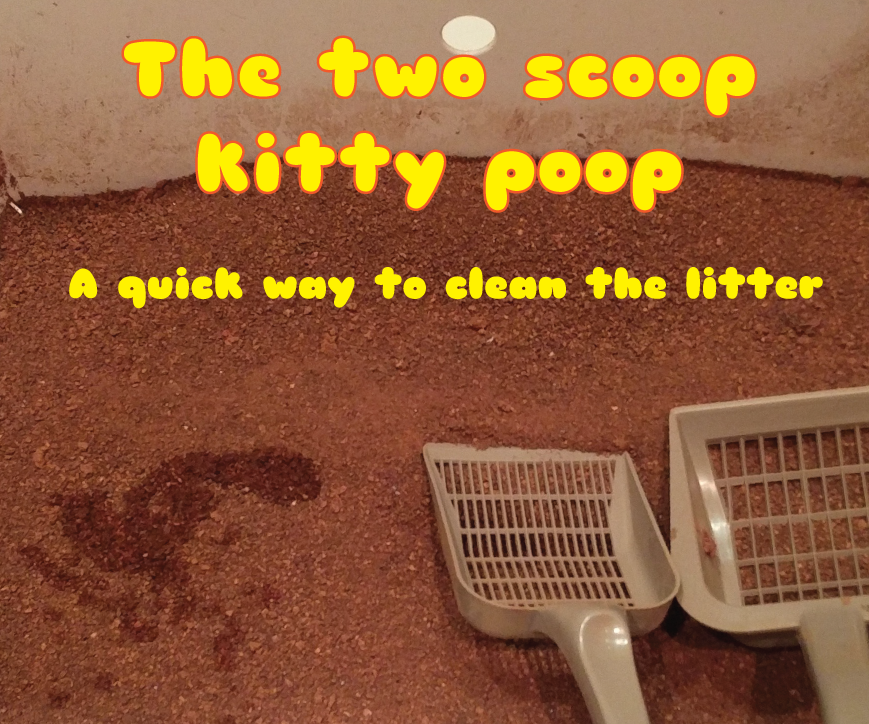 2 Scoop Kitty Poop Method - a Really Fast Way to Clean the Kitty Litter ...