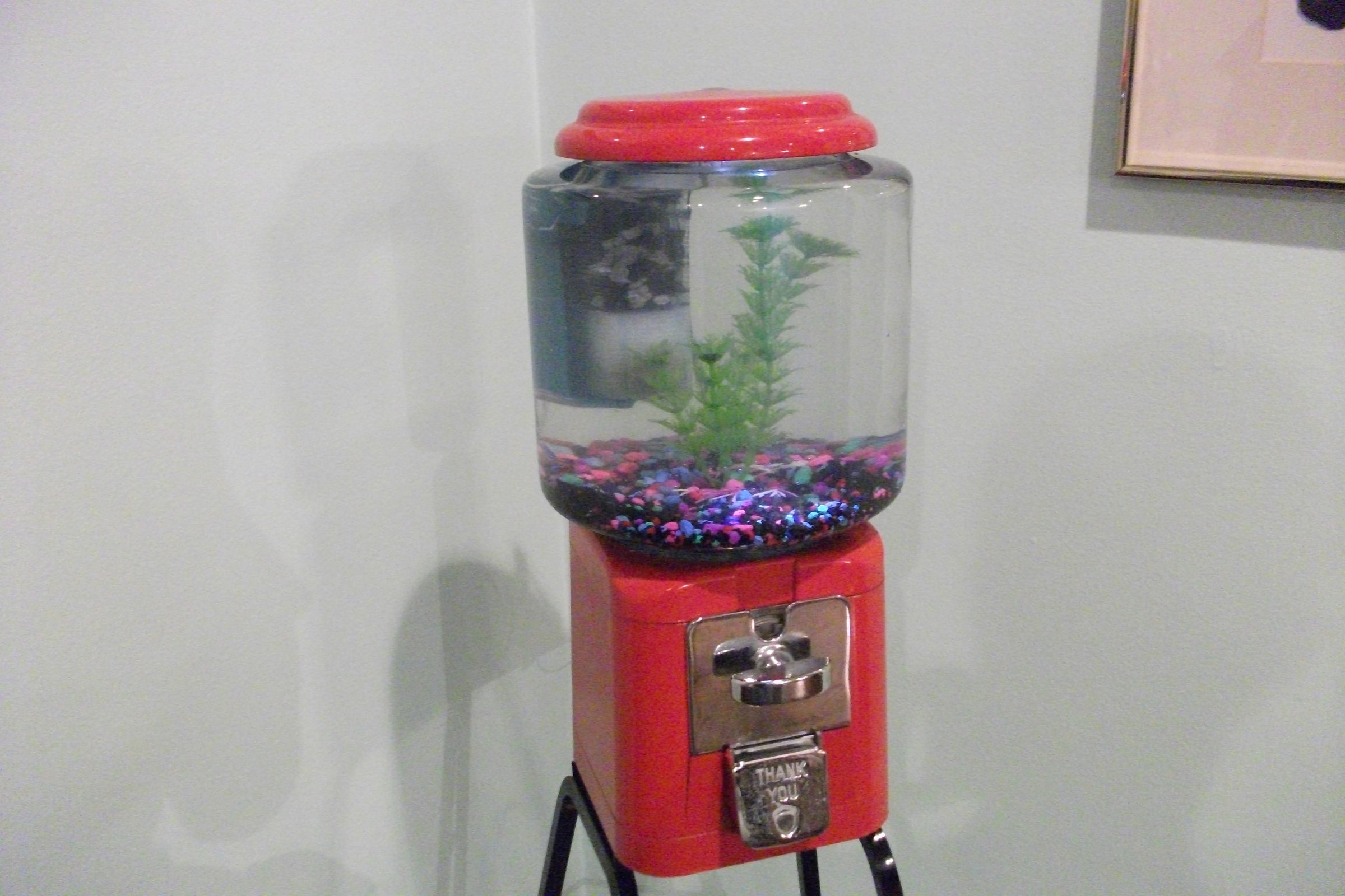Gumball Machine Fish Tank : 9 Steps (with Pictures) - Instructables