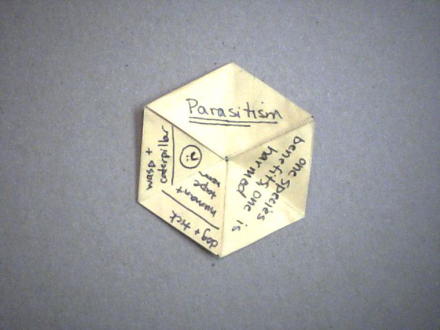 How to Make a Hexaflexagon : 10 Steps (with Pictures) - Instructables