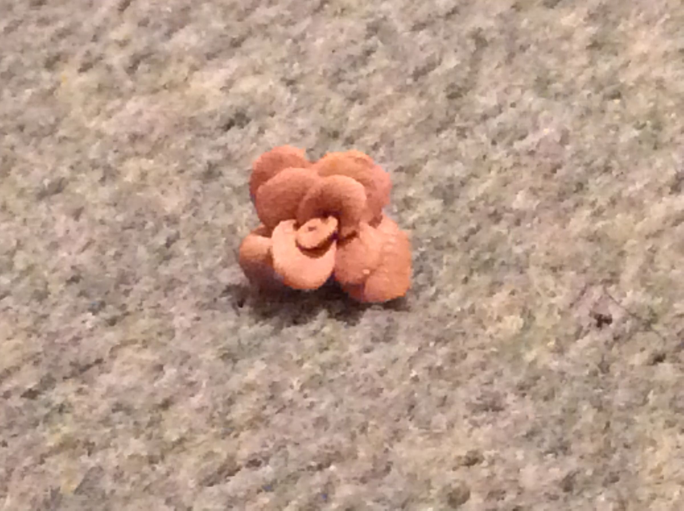 Clay Rose : 4 Steps - Instructables