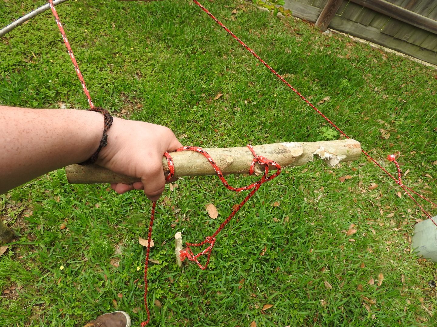 Survival Snare : 3 Steps - Instructables