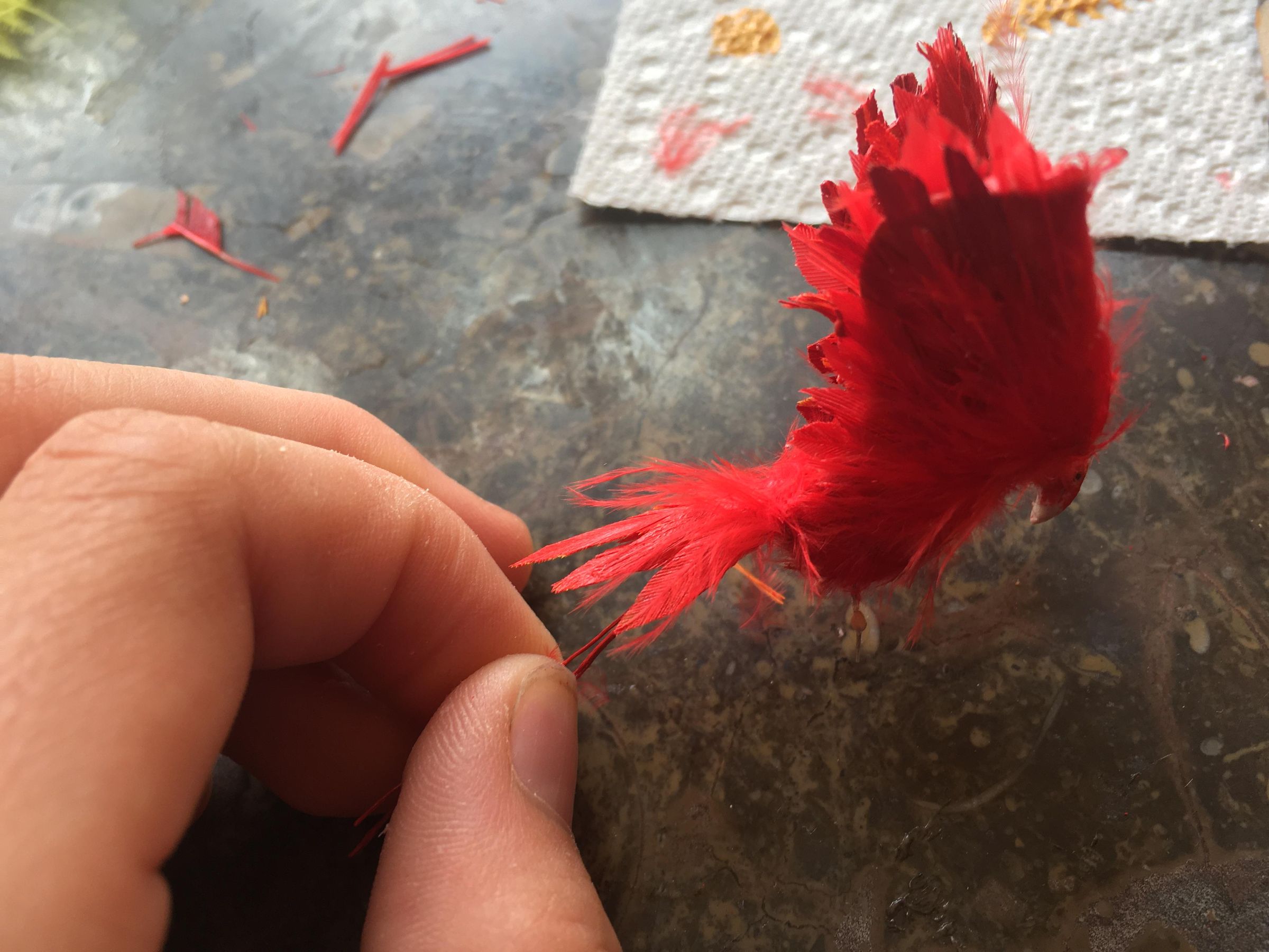 DIY Miniature Phoenix : 10 Steps (with Pictures) - Instructables