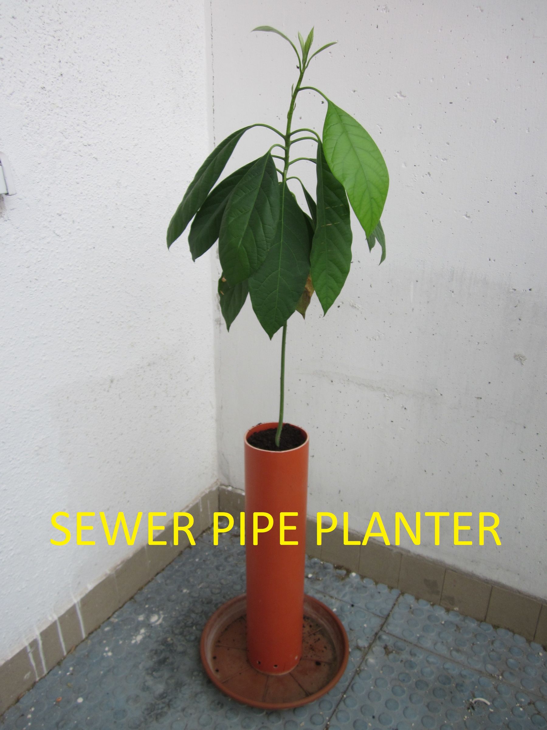 Basic Sewer Pipe Planter : 4 Steps - Instructables