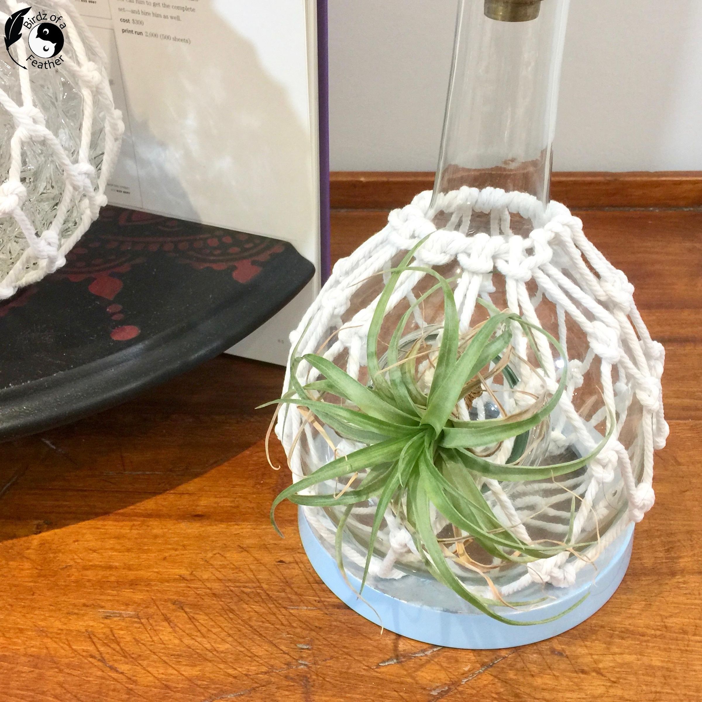 How to Hand Knot a Sake Carafe Air Planter : 16 Steps (with Pictures ...