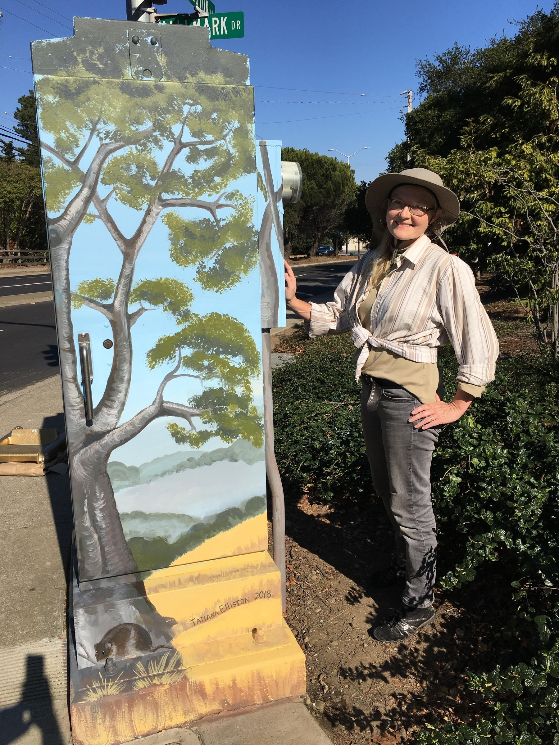Painted Utility Box Public Art/Mural : 28 Steps (with Pictures ...