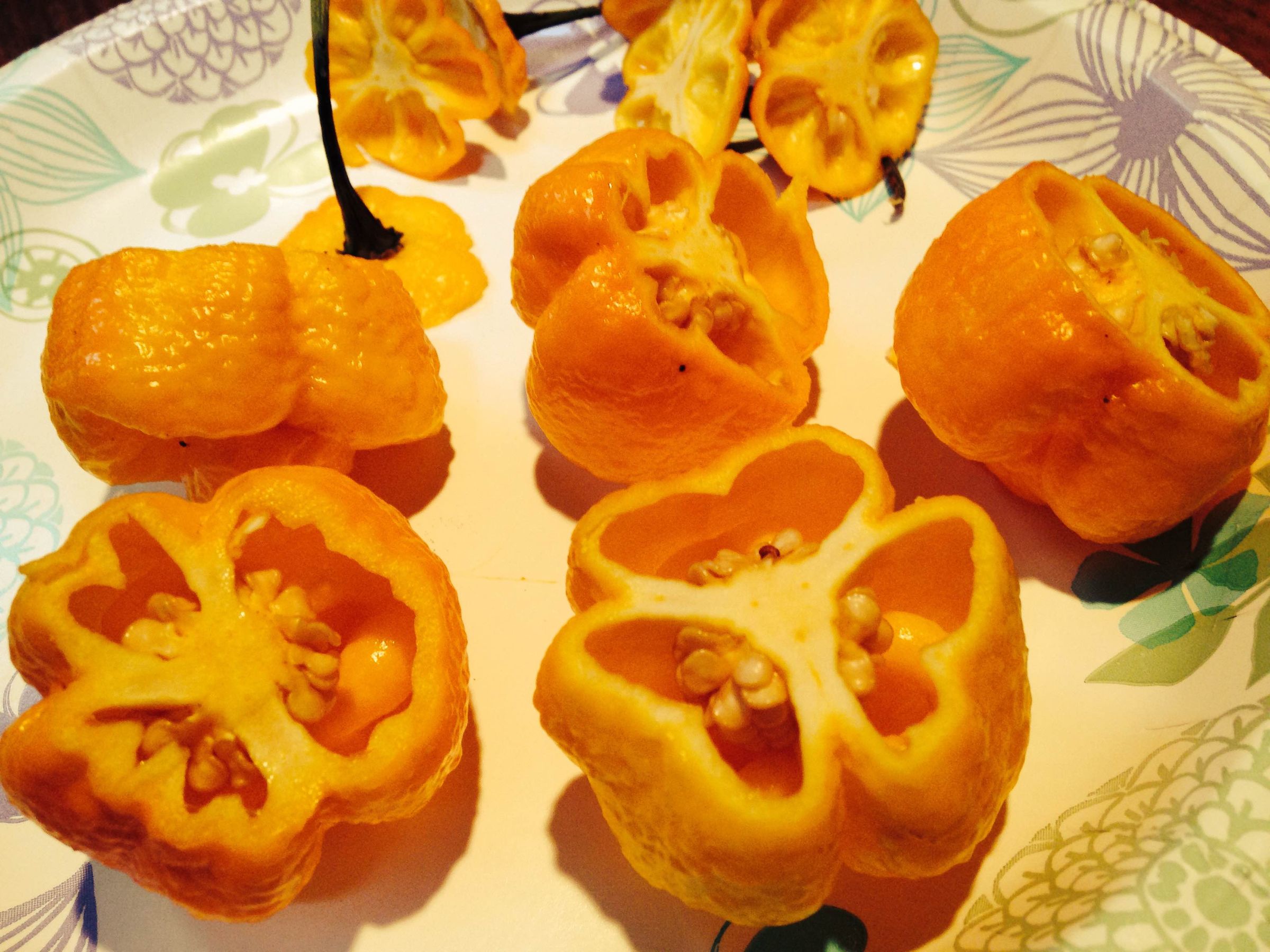 Extreme Hot Sauce From Scratch : 6 Steps (with Pictures) - Instructables